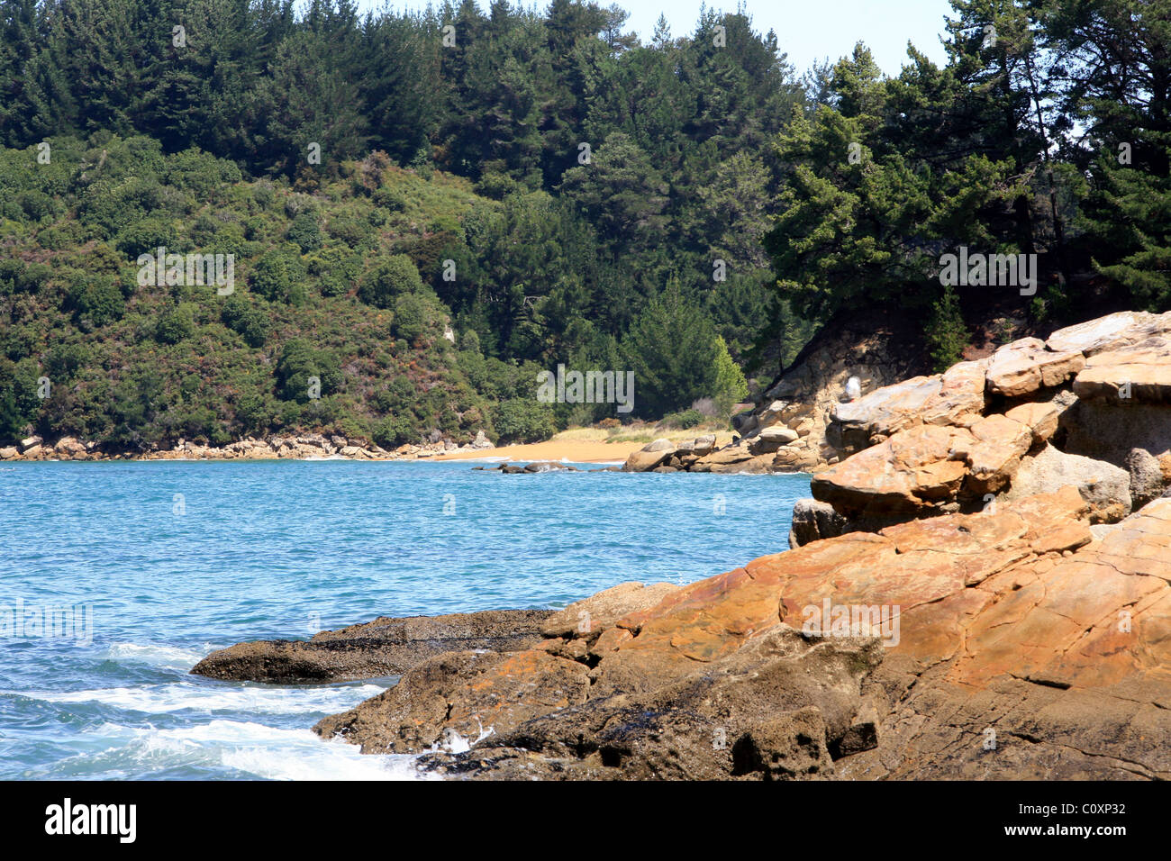 A beach near Split apple rock, North of Kaiteriteri - Abel Tasman ...