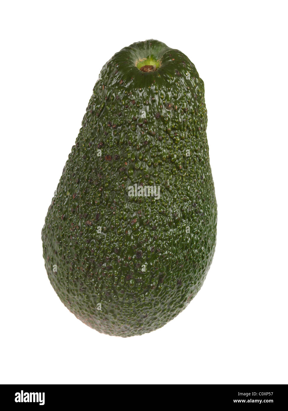 Food ingredients fresh raw uncooked whole avocado hi-res stock ...