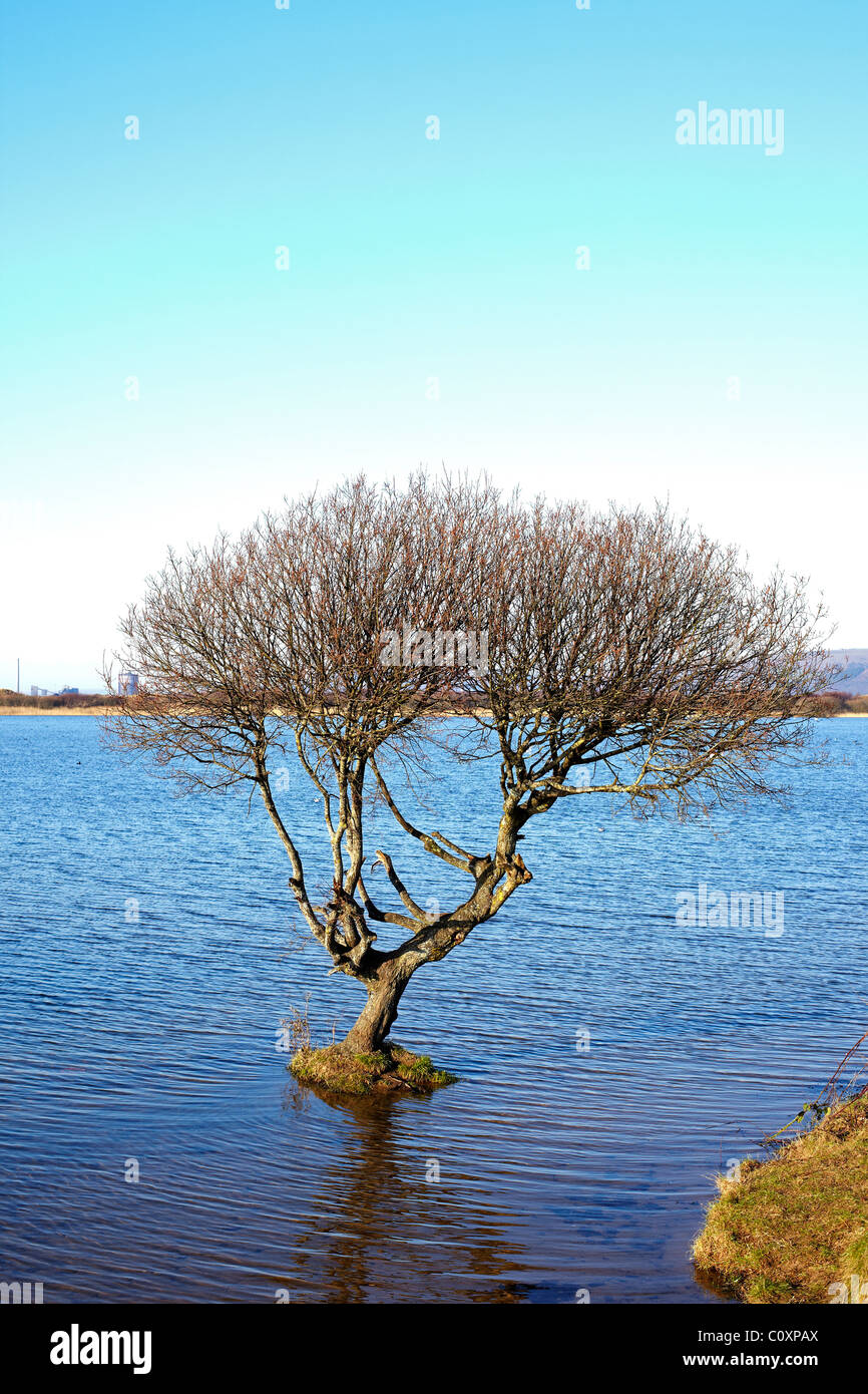 Kenfig national nature reserve hi-res stock photography and images - Alamy