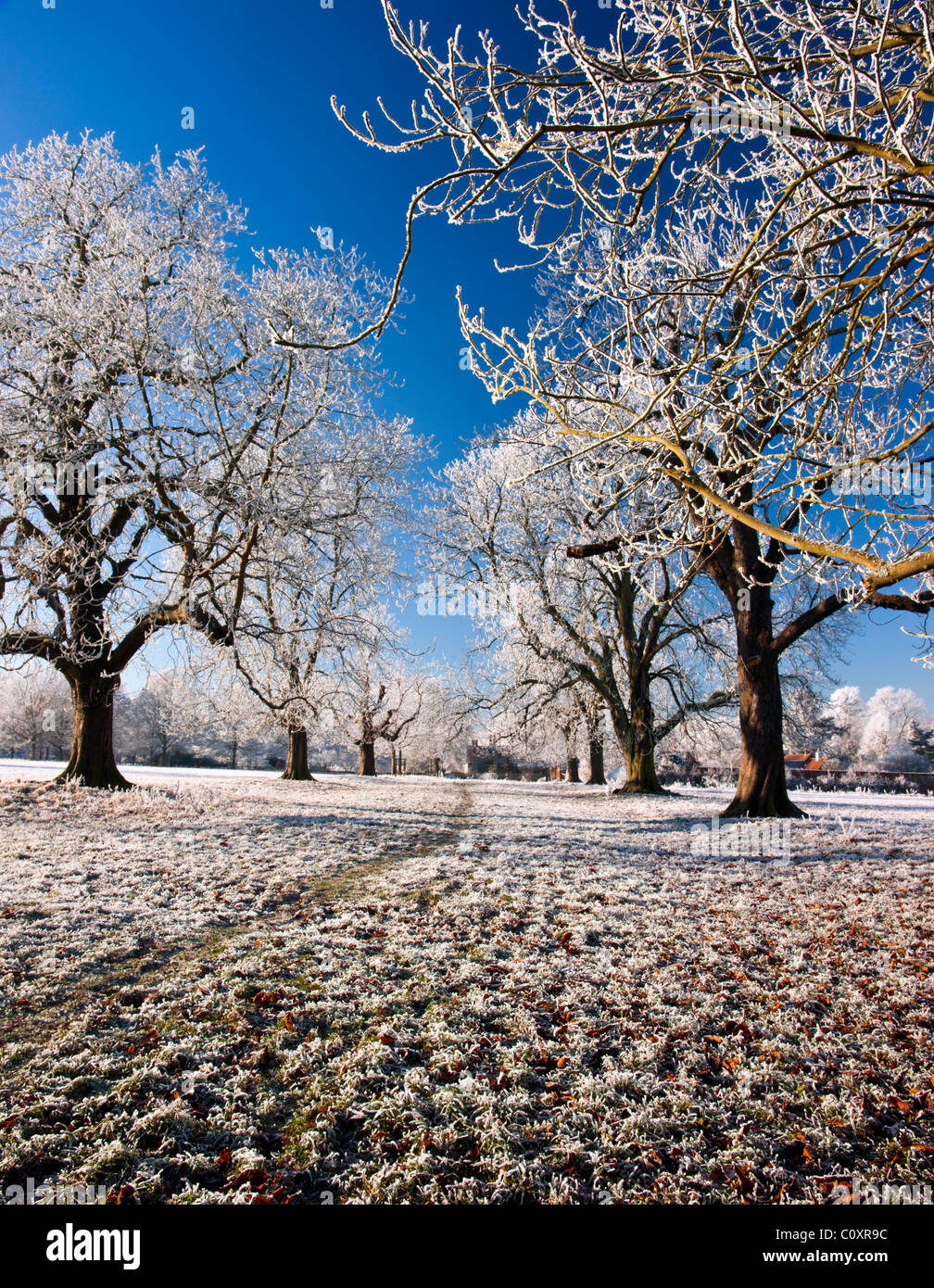 Packwood hi-res stock photography and images - Alamy