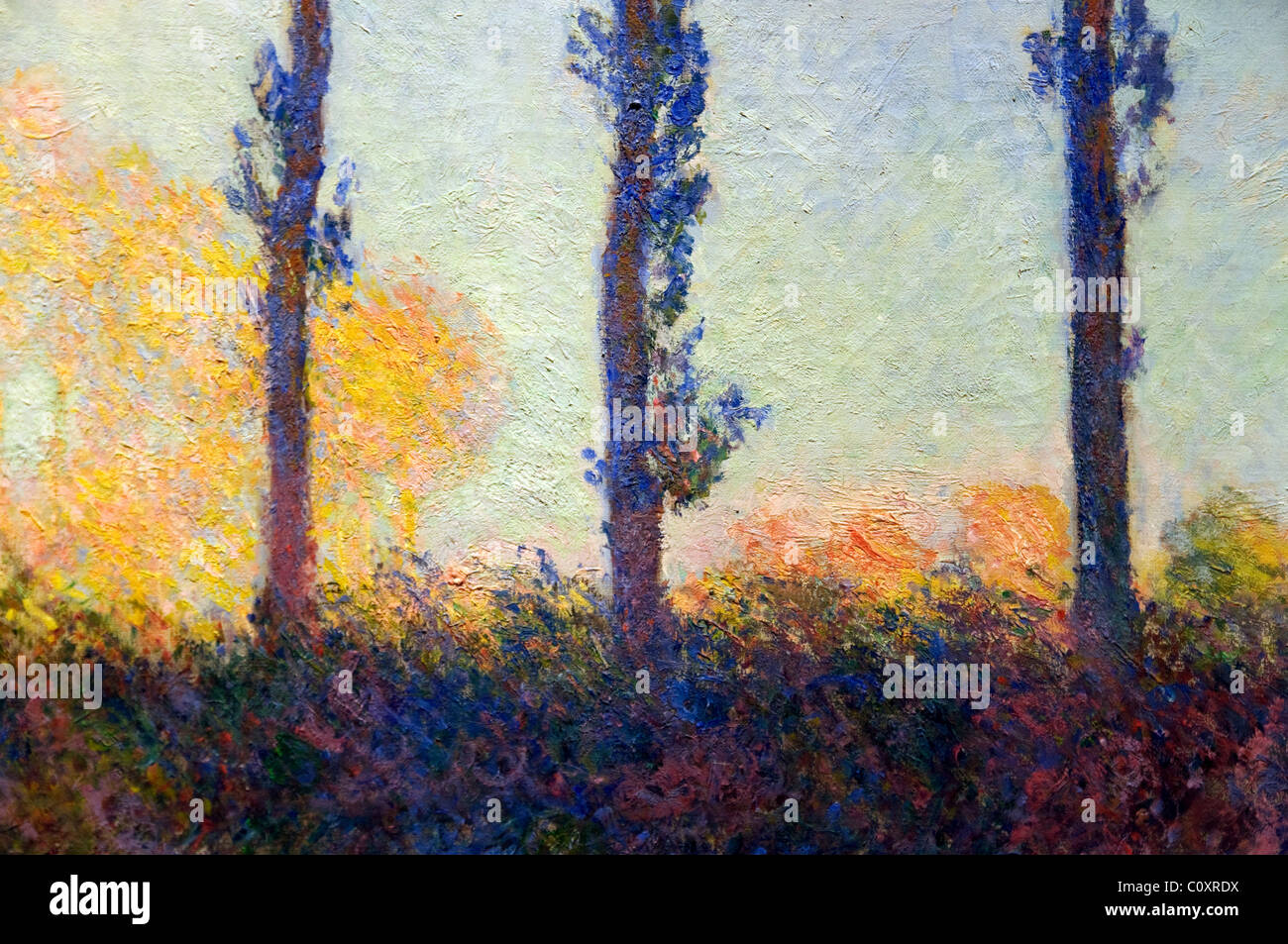 The Four Trees, 1891, by Claude Monet Stock Photo - Alamy