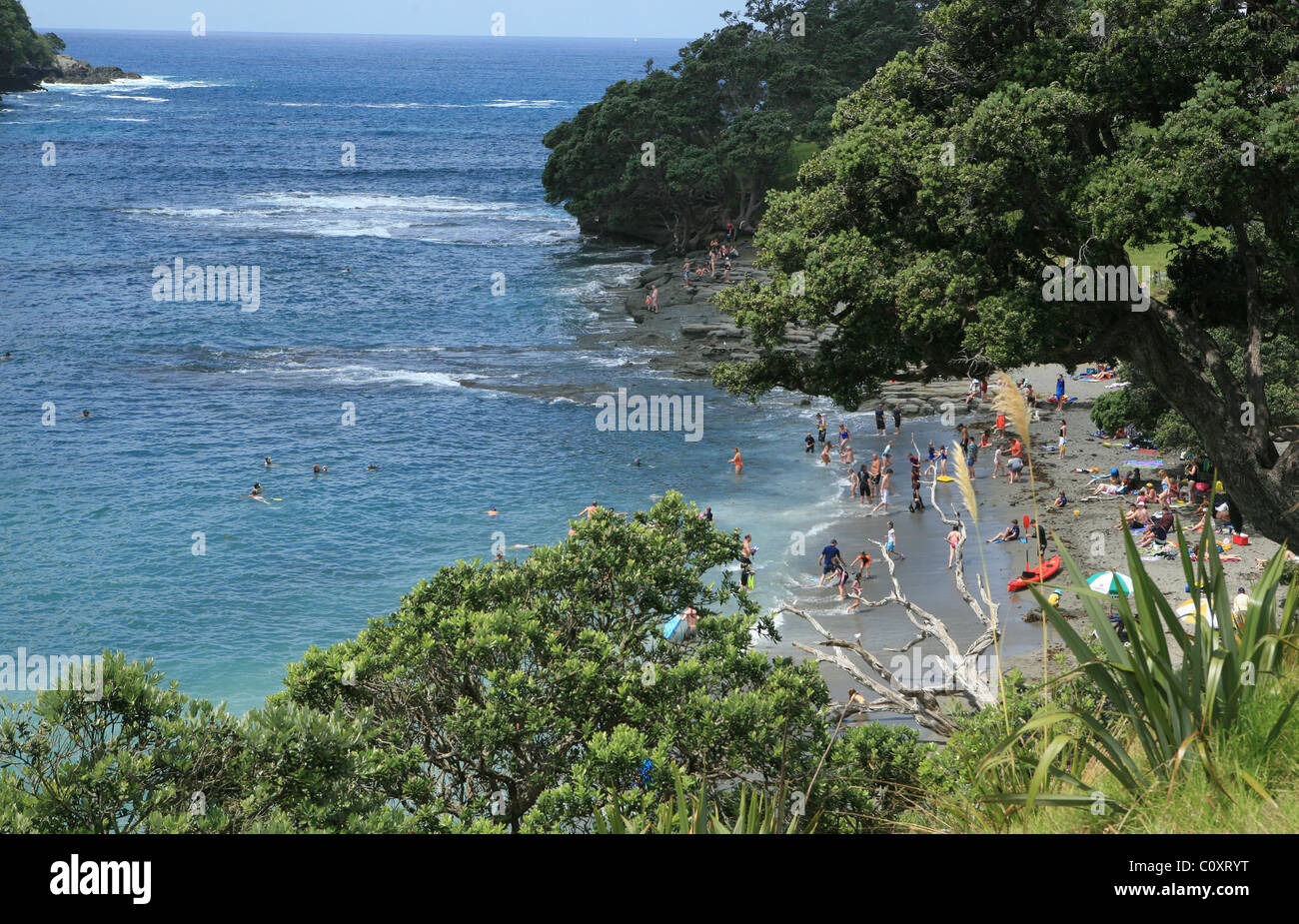 Cape Rodney, marine reserve at Goat Island North Island New Zealand ...