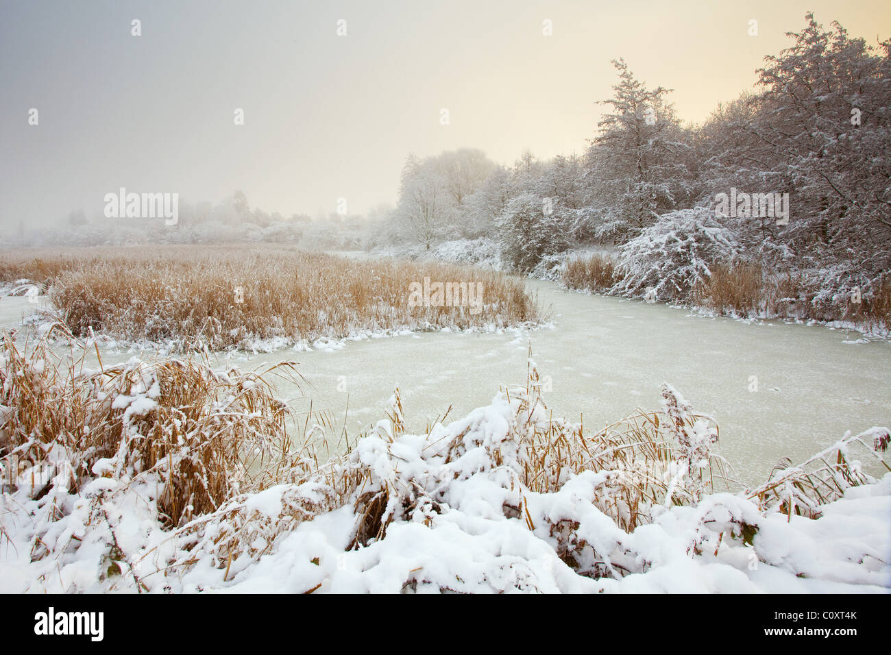 Frozen pond hi-res stock photography and images - Alamy