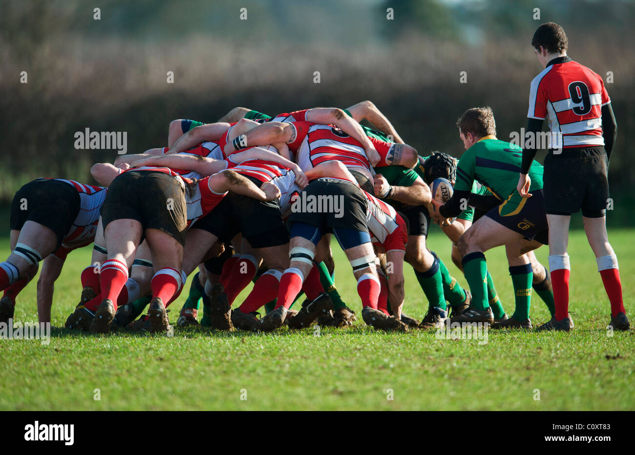 Rugby scrum scrummage hi-res stock photography and images - Alamy