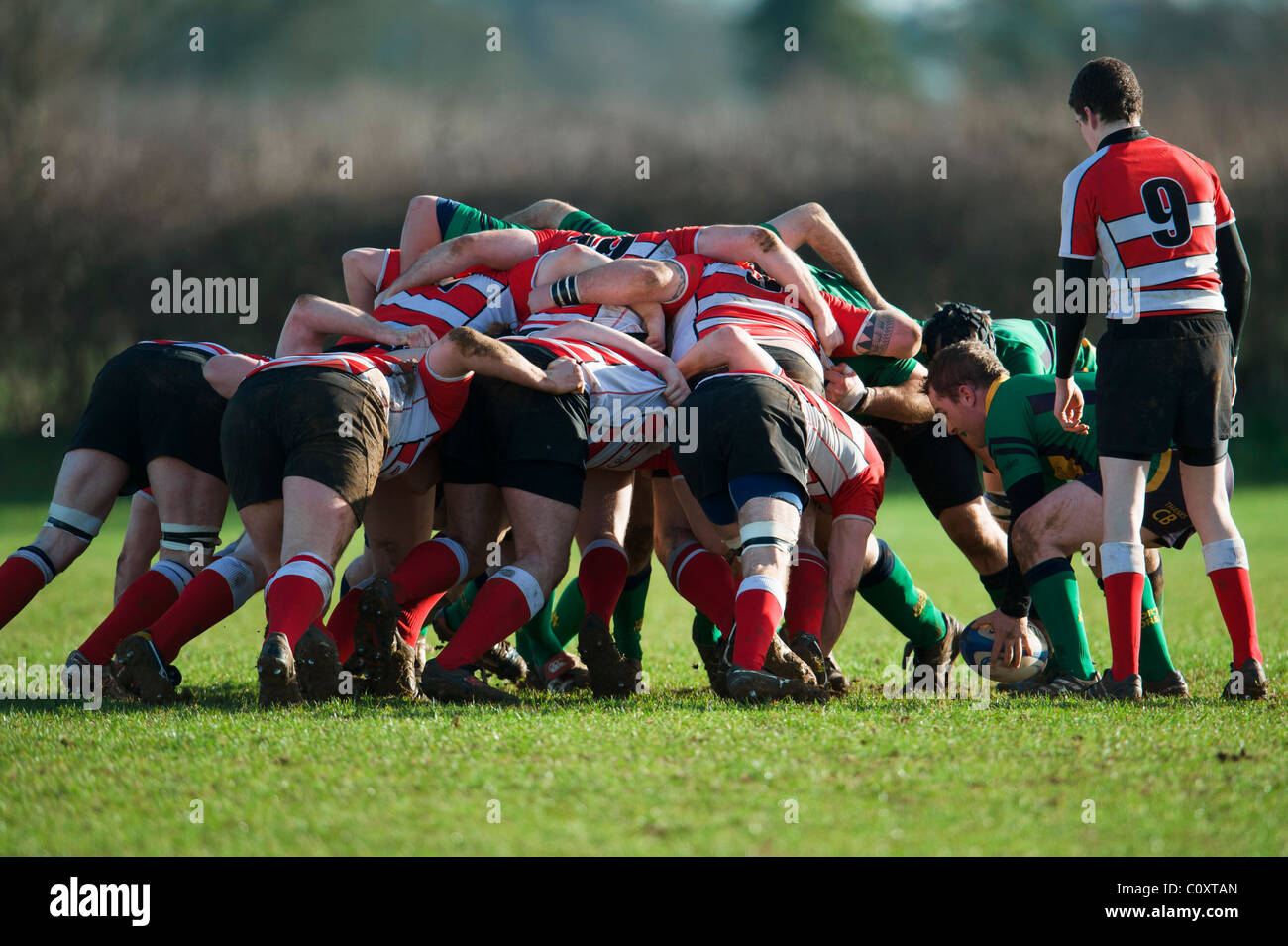 Rugby scrum scrummage hi-res stock photography and images - Alamy
