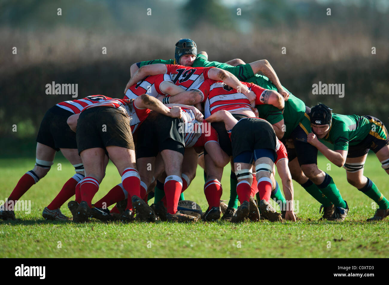Scrum hi-res stock photography and images - Alamy