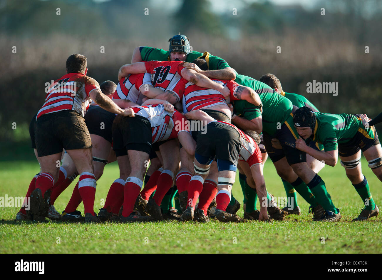Scrum hi-res stock photography and images - Alamy