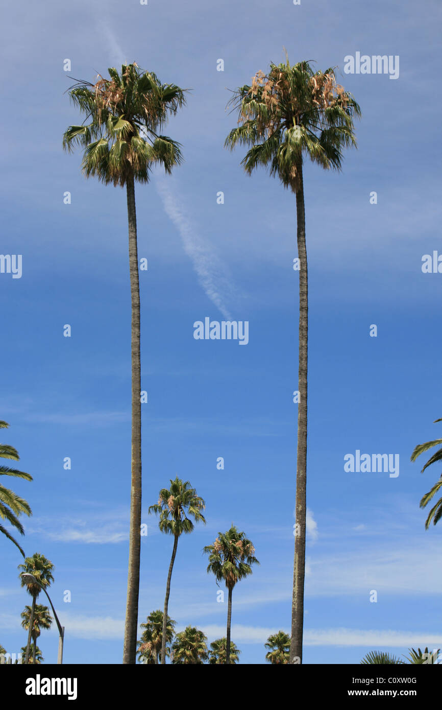 Napier new zealand artdeco hi-res stock photography and images - Alamy