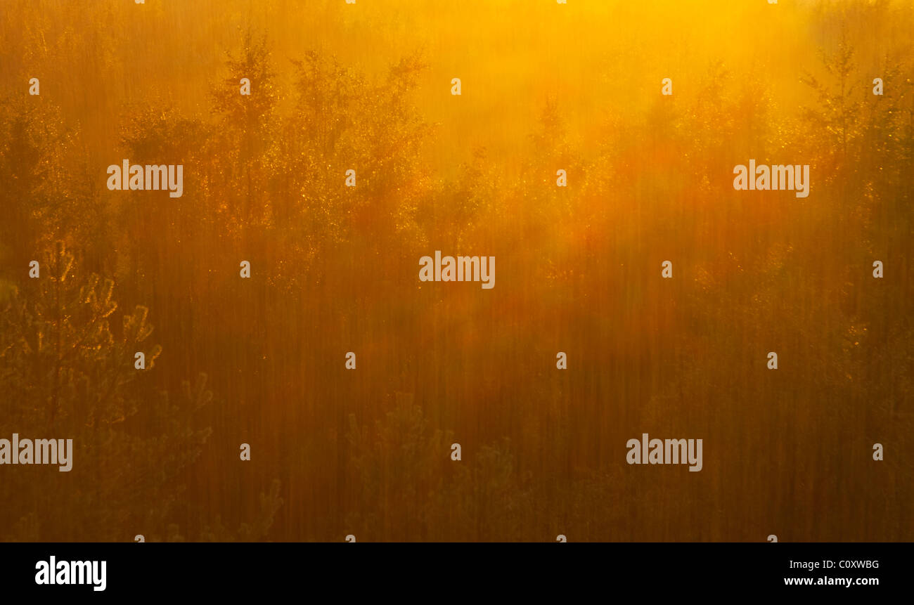 Rain falling backlit by sunshine hi-res stock photography and images ...