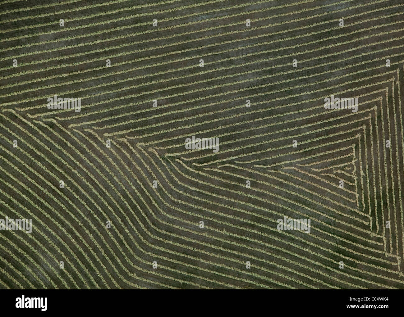 Crop rows from above hi-res stock photography and images - Alamy