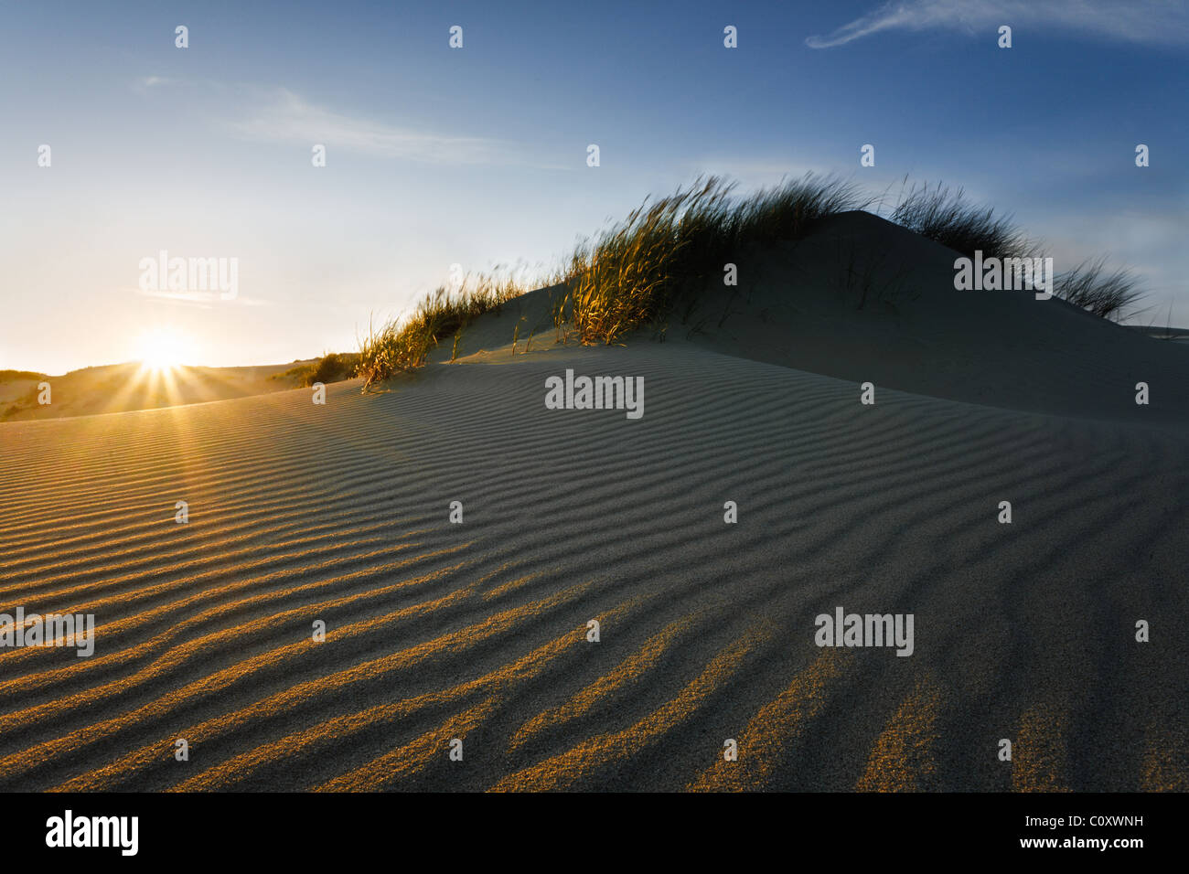 Curonian spit, russia dune hi-res stock photography and images - Alamy