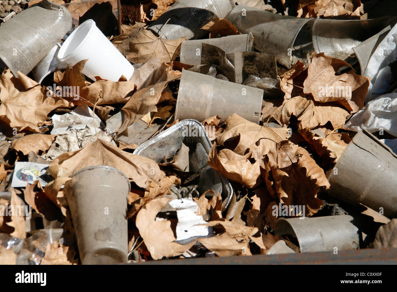 pile bundle of litter in woods forest Stock Photo - Alamy