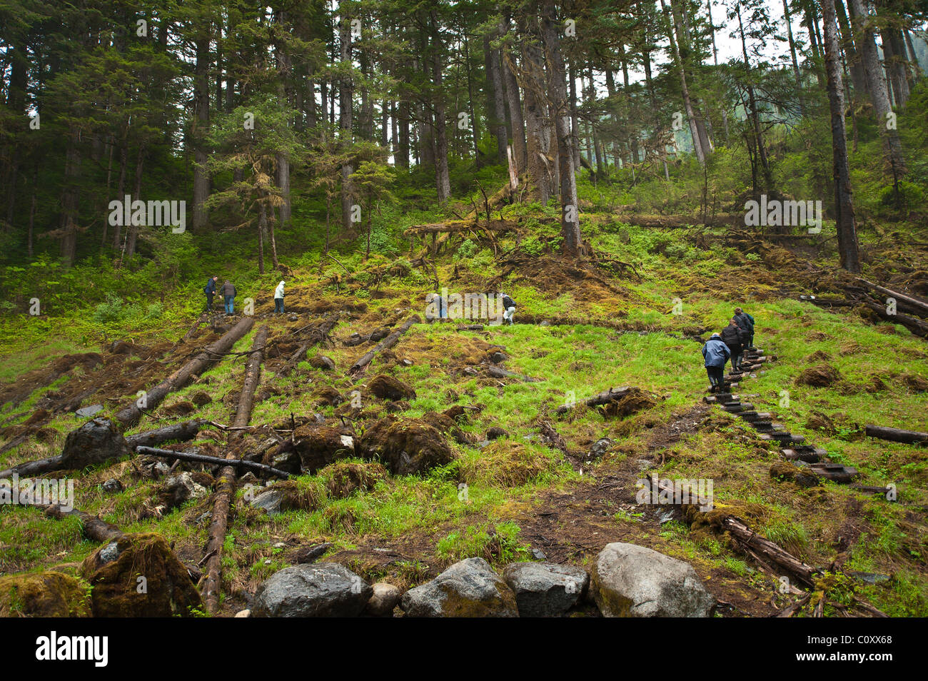 Alaska. Hiking Cascade Creek Trail, Thomas Bay, Tongass National Forest ...