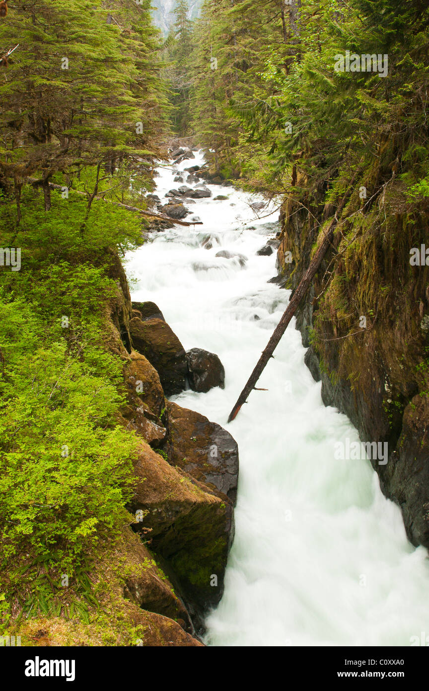 Alaska. Cascade Creek, Thomas Bay, Tongass National Forest, Southeast ...