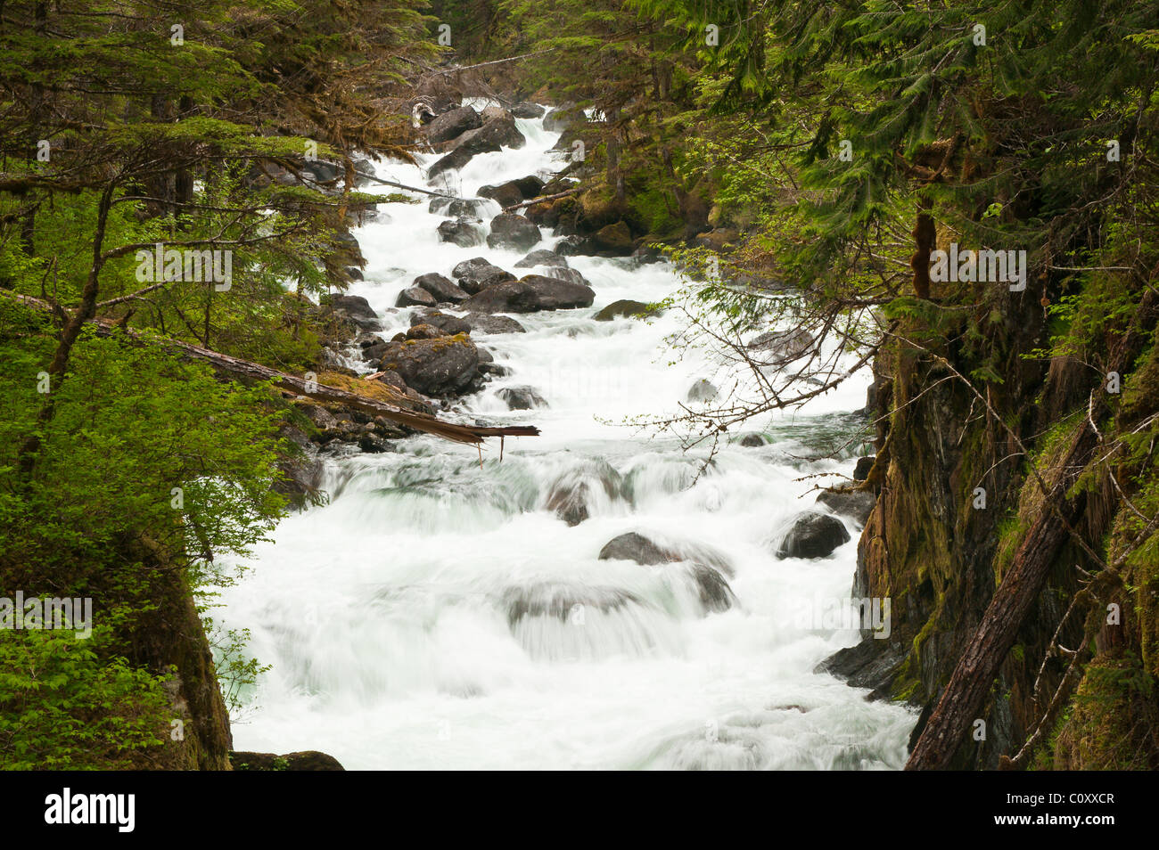 Alaska. Cascade Creek, Thomas Bay, Tongass National Forest, Southeast ...