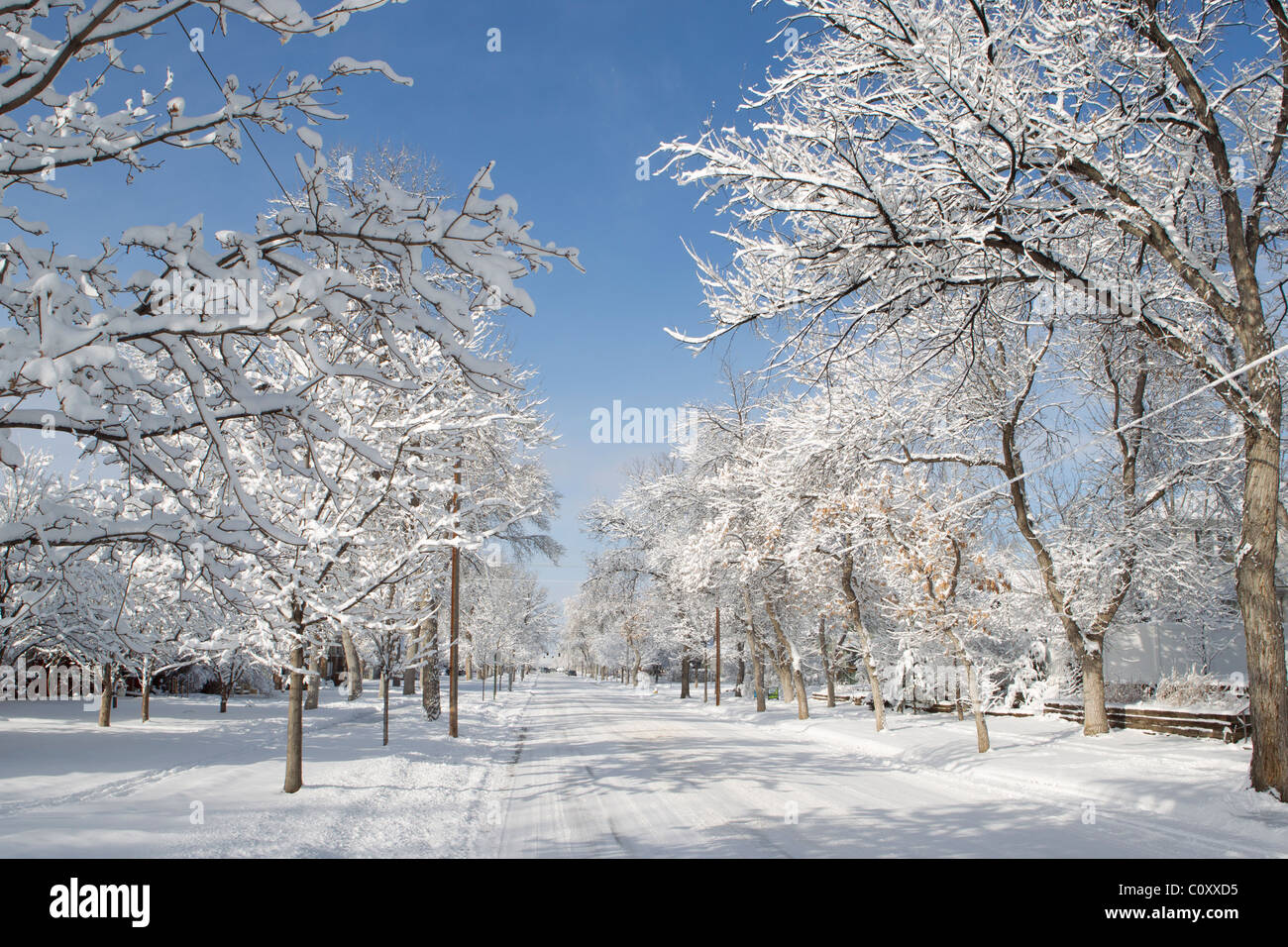 Canopy street hi-res stock photography and images - Alamy