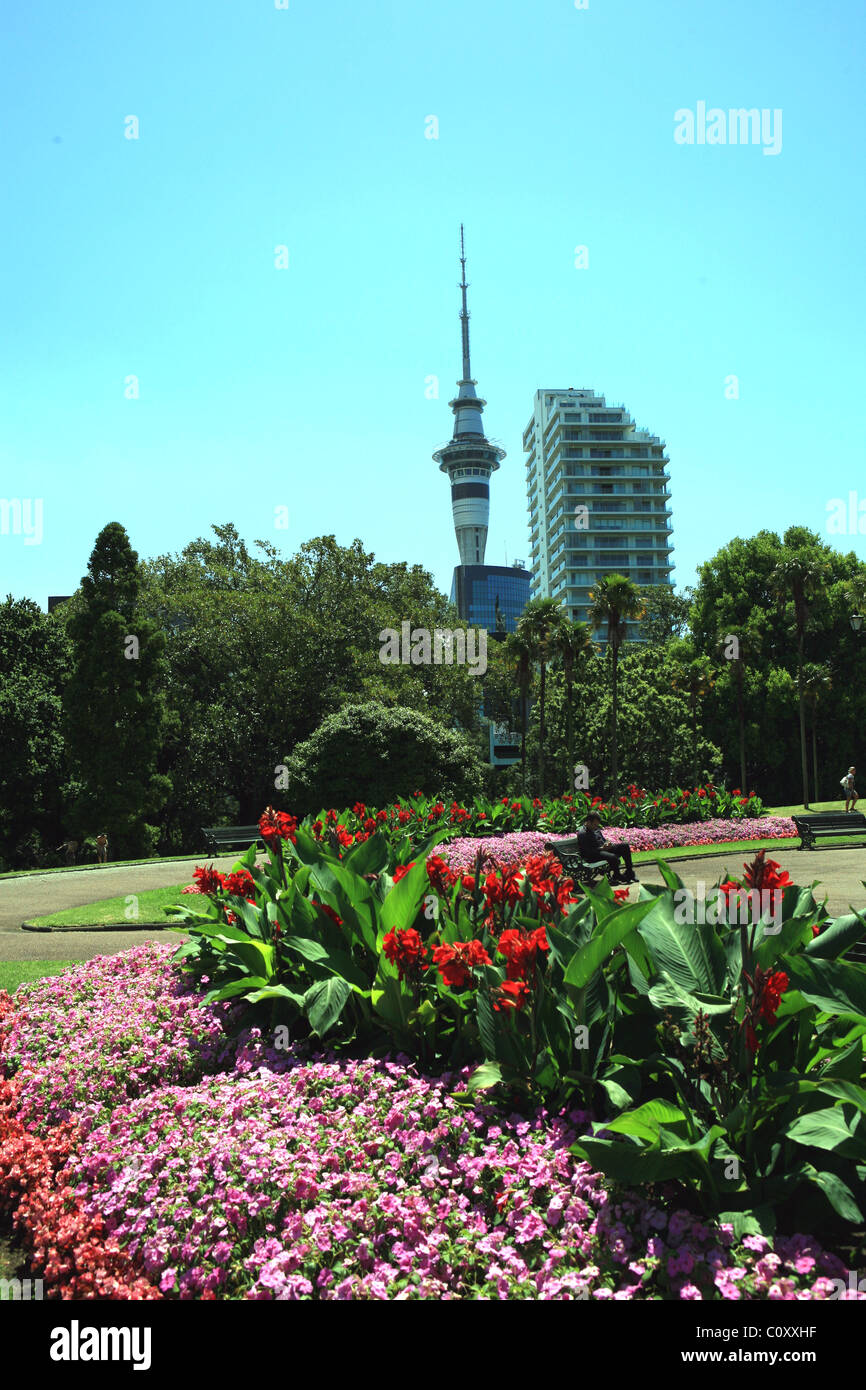 Auk2 hi-res stock photography and images - Alamy