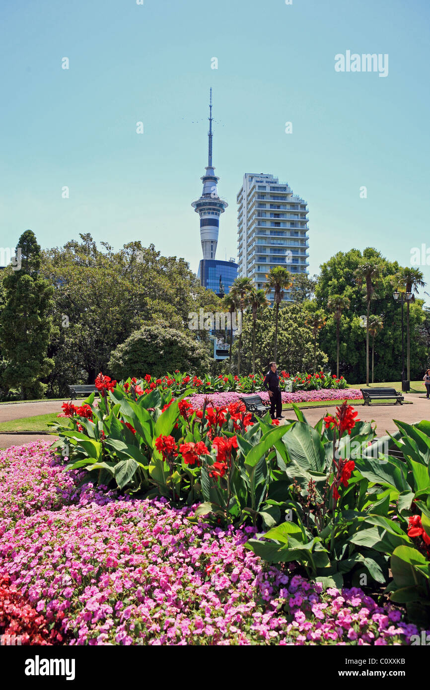 Auk2 hi-res stock photography and images - Alamy