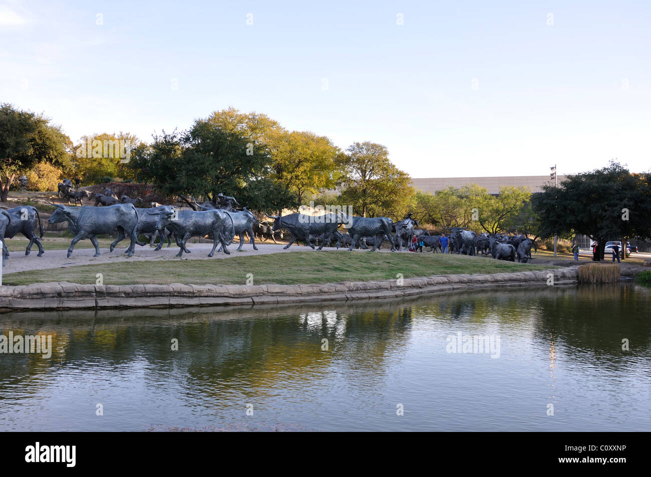 Dallas texas cattle sculptures hi-res stock photography and images - Alamy