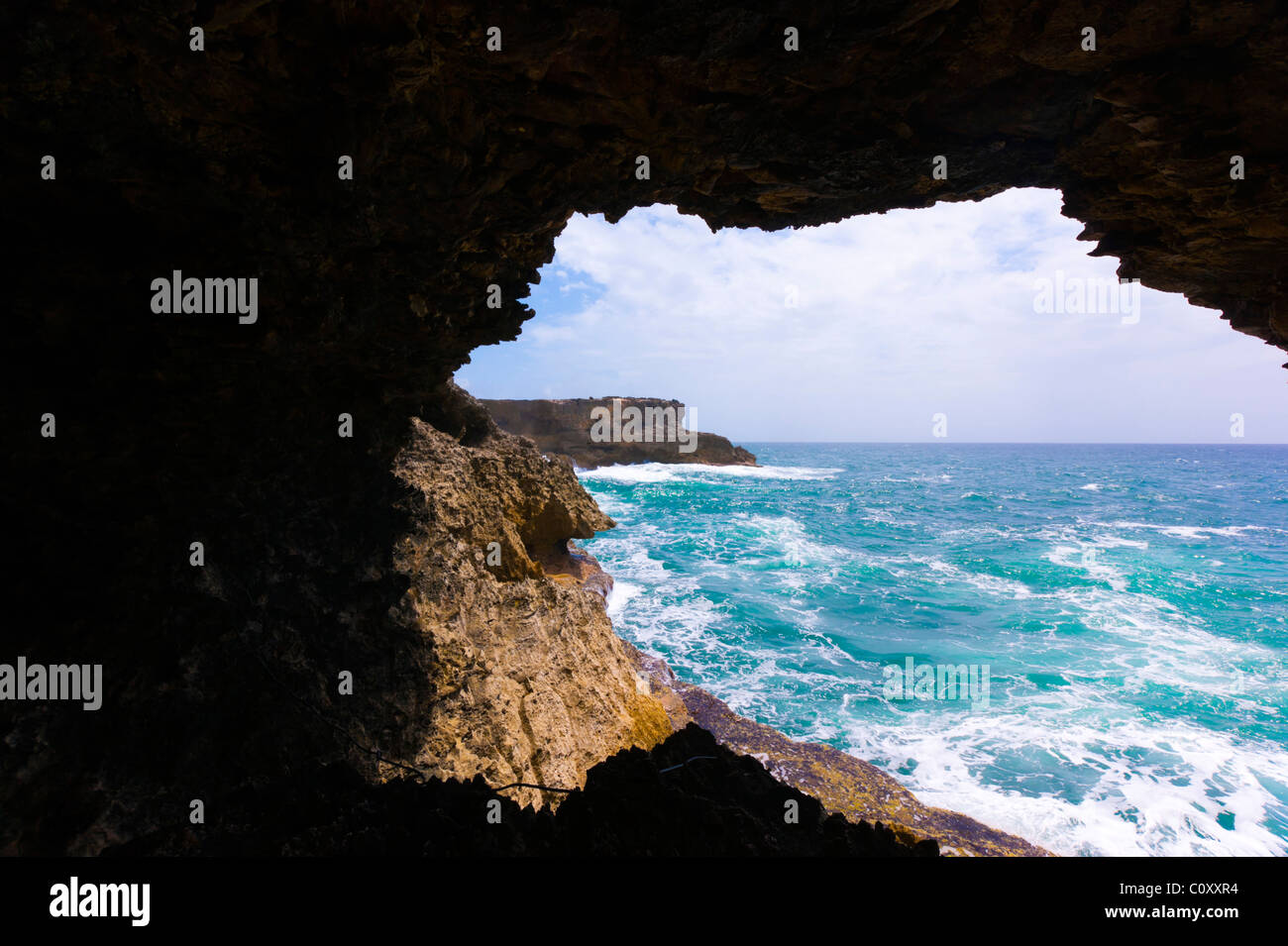 Animal Flower Cave, Barbados, coral and limestone grotto with visitor ...