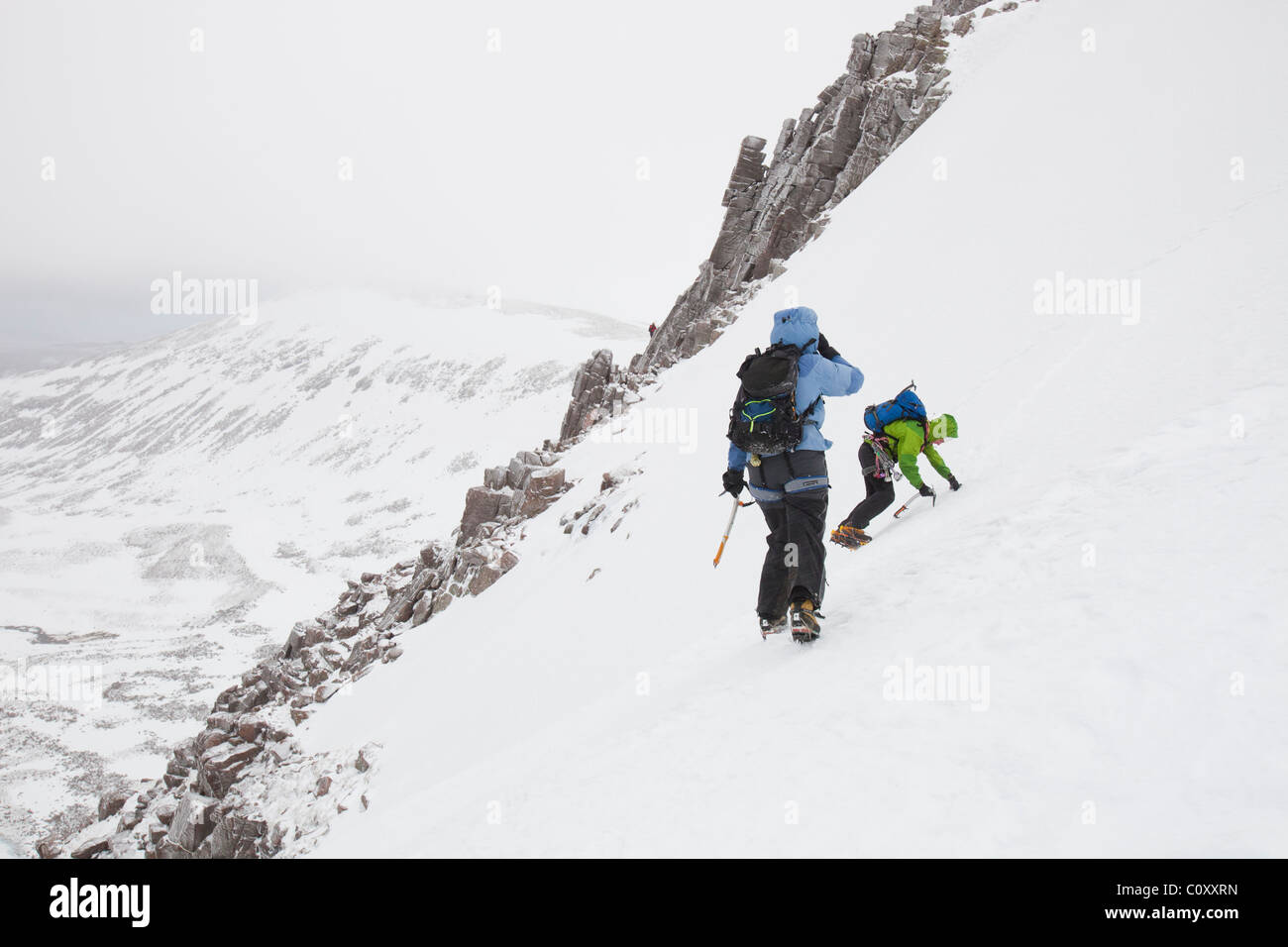 Buffeted hi-res stock photography and images - Alamy