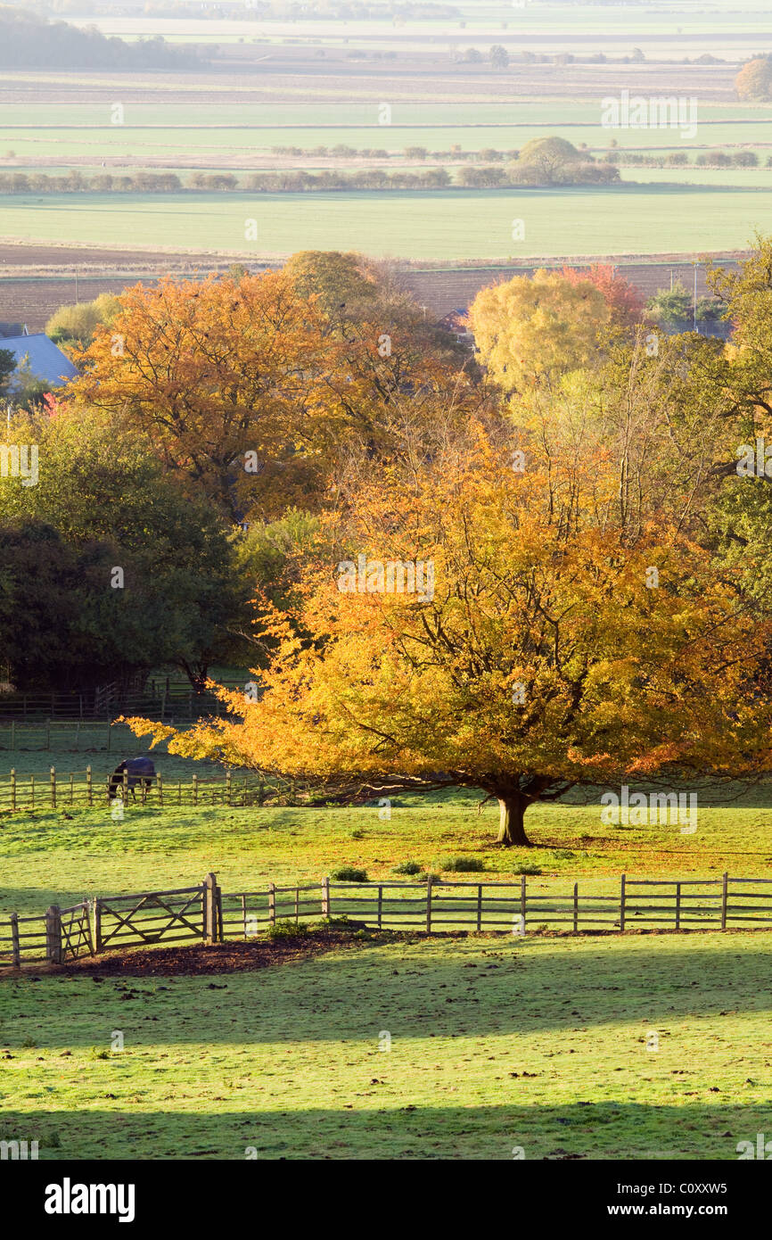 Autumn in the English countryside Stock Photo - Alamy