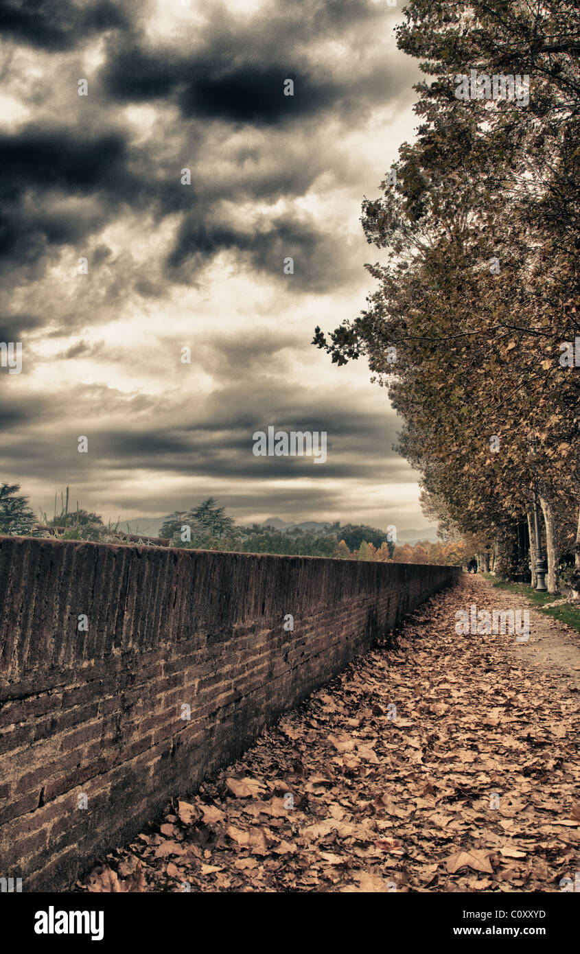 Colors of Fall in Tuscany, Italy Stock Photo - Alamy