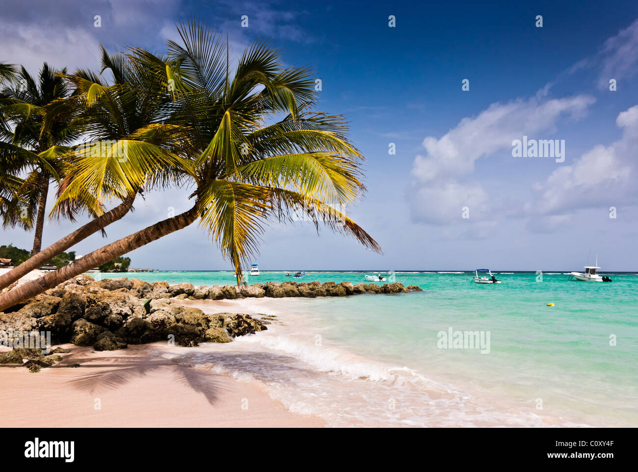Classic palm tree and beach scene near St Lawrence Gap, Barbados Stock ...