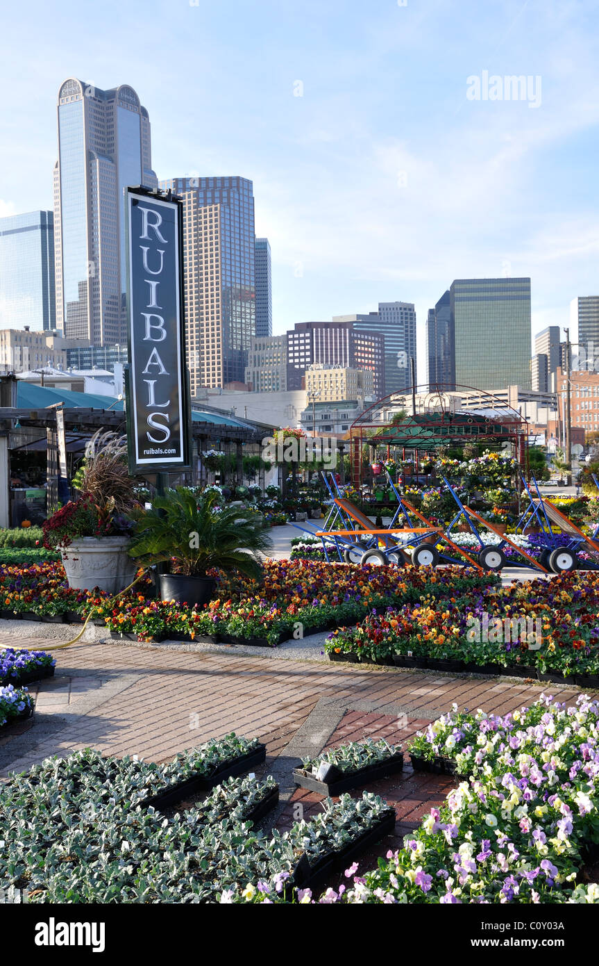 Spring flowers for sale at farmers market in Dallas, Texas, USA Stock ...
