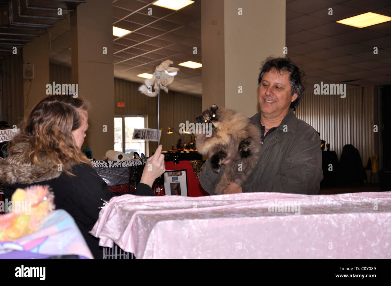 Cat show cats waco hi-res stock photography and images - Alamy