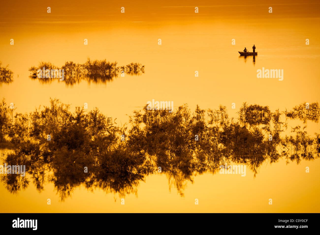 Still active fishing hi-res stock photography and images - Alamy