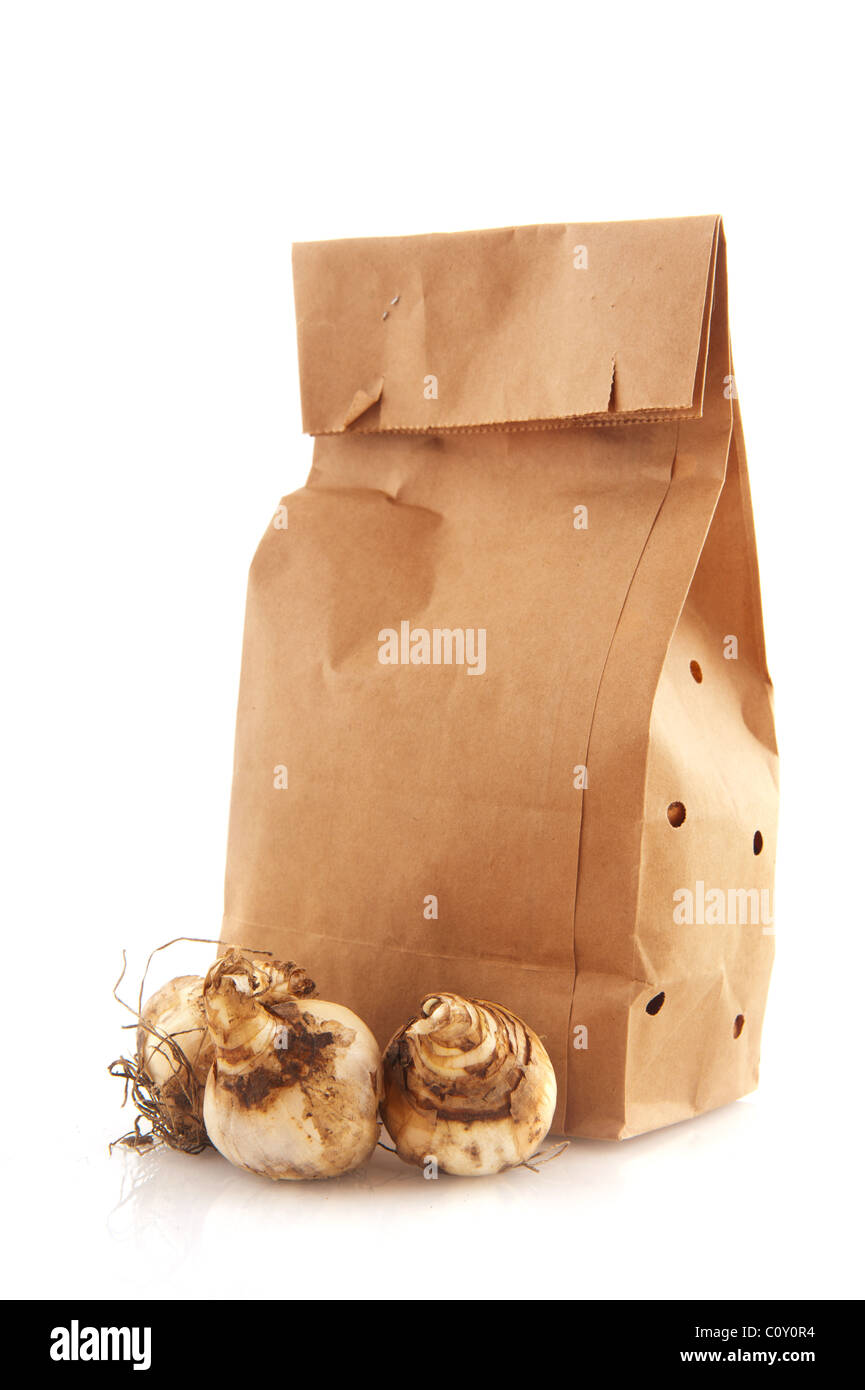 Flower bulbs bag hi-res stock photography and images - Alamy