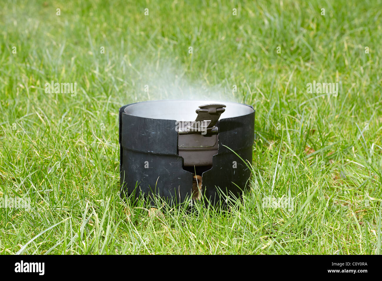 Swedish army hi-res stock photography and images - Alamy