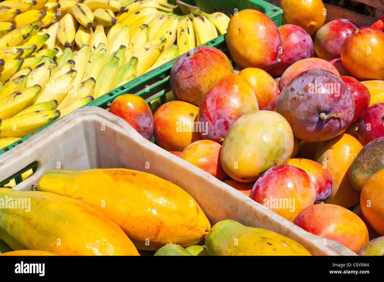 Fruit of bahia hi-res stock photography and images - Alamy