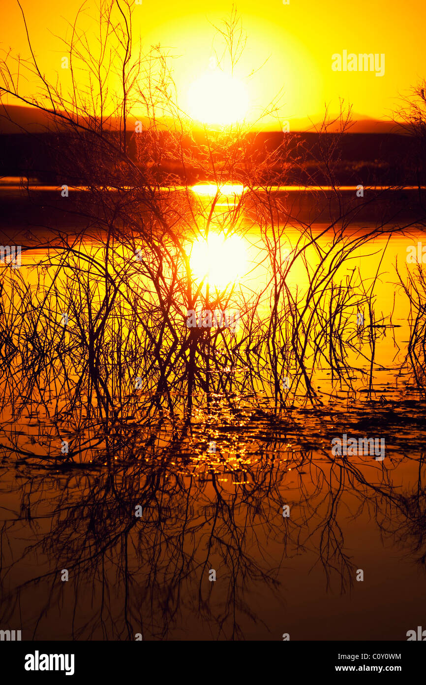 Sunset a lake Stock Photo - Alamy