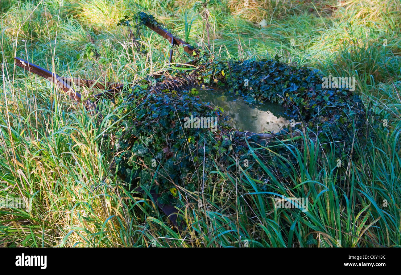 old ivy-covered wheelbarrow filled with rain water Stock Photo - Alamy
