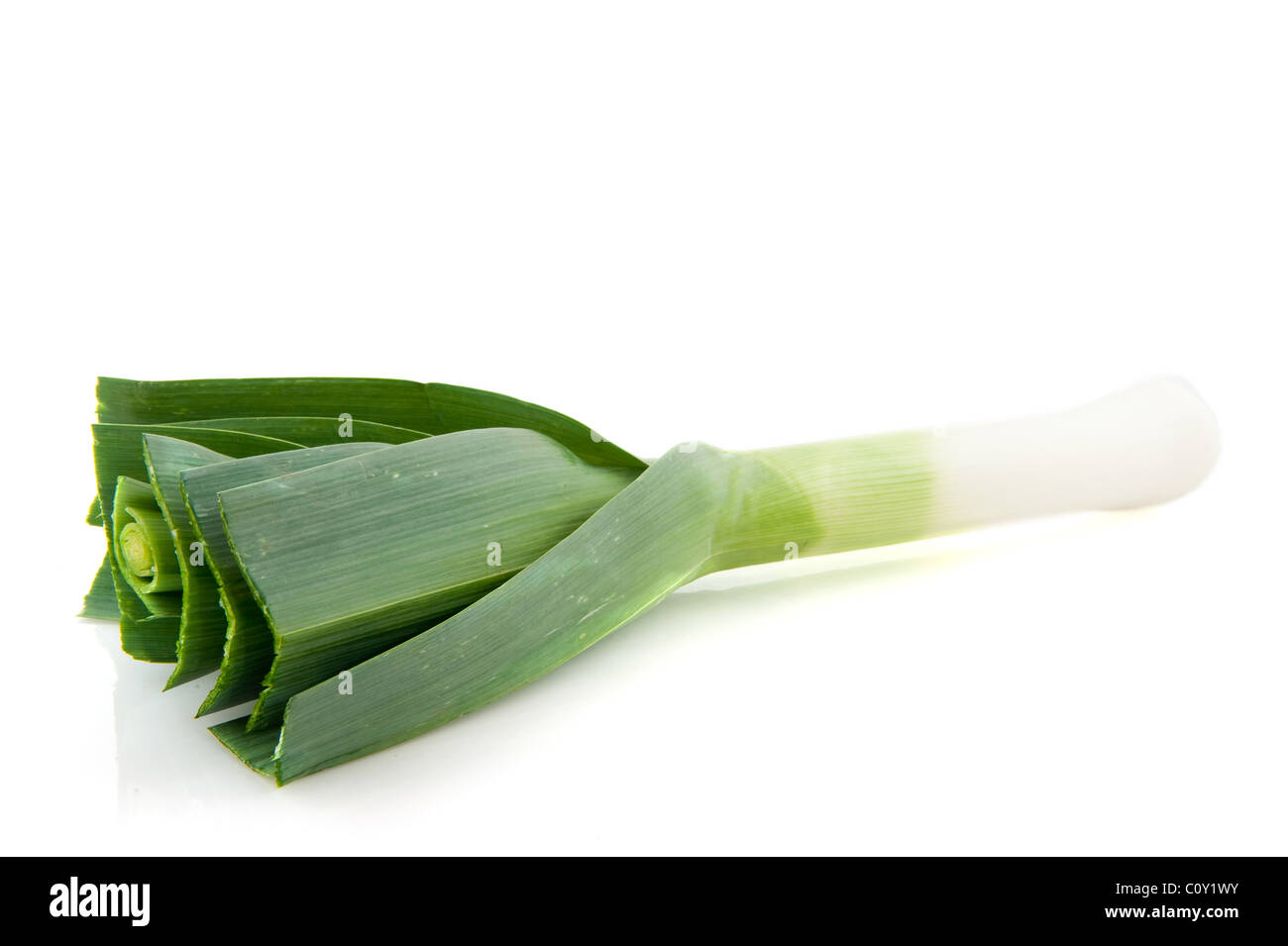 Fresh raw leek vegetables isolated over white Stock Photo - Alamy