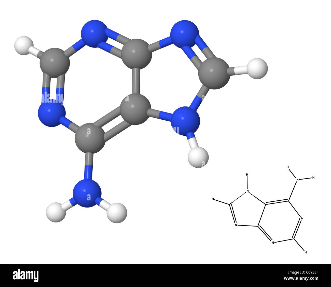Adenine Molecule