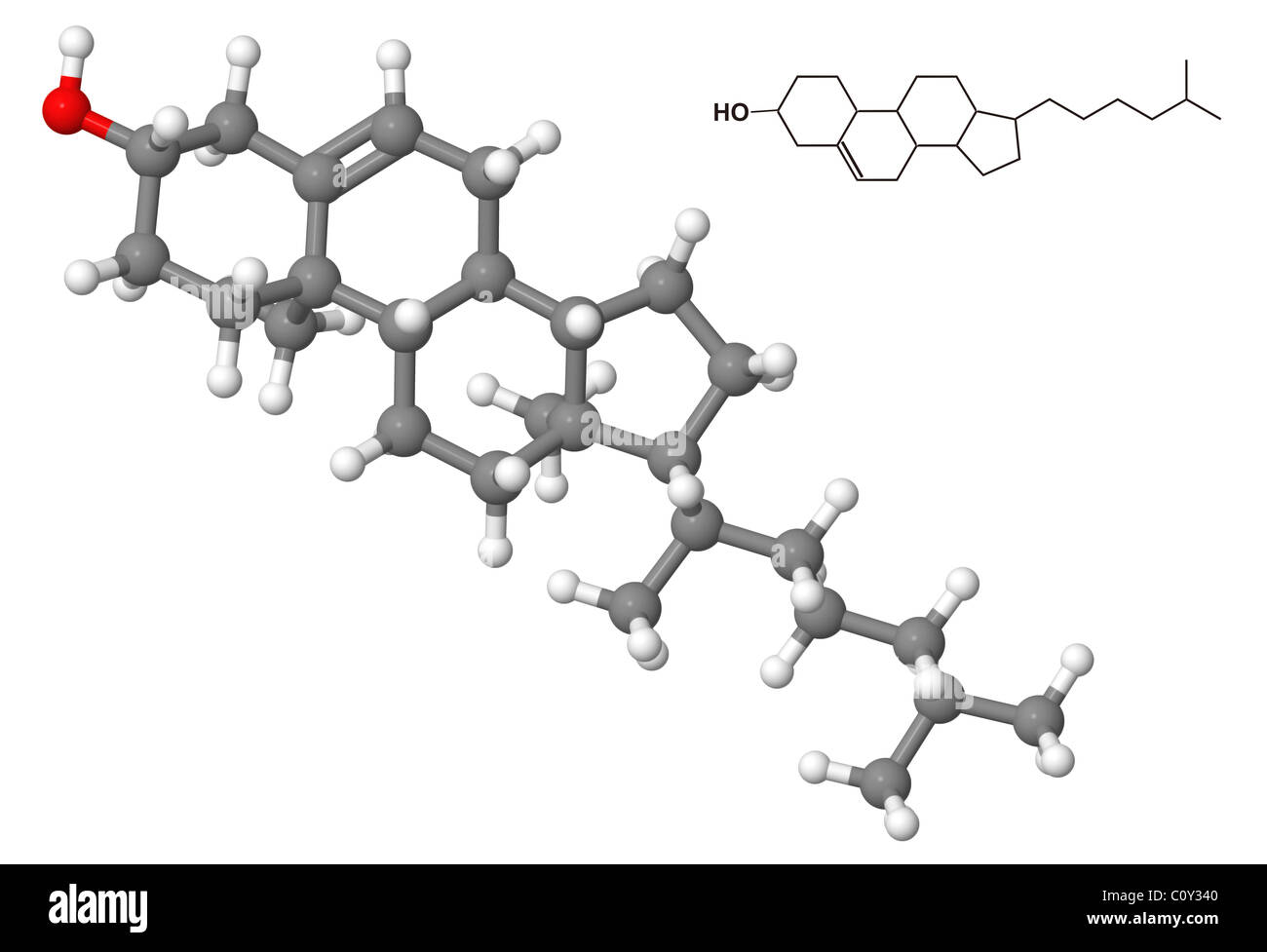 Cholesterol (C27H46O) molecule with chemical formula isolated on white ...