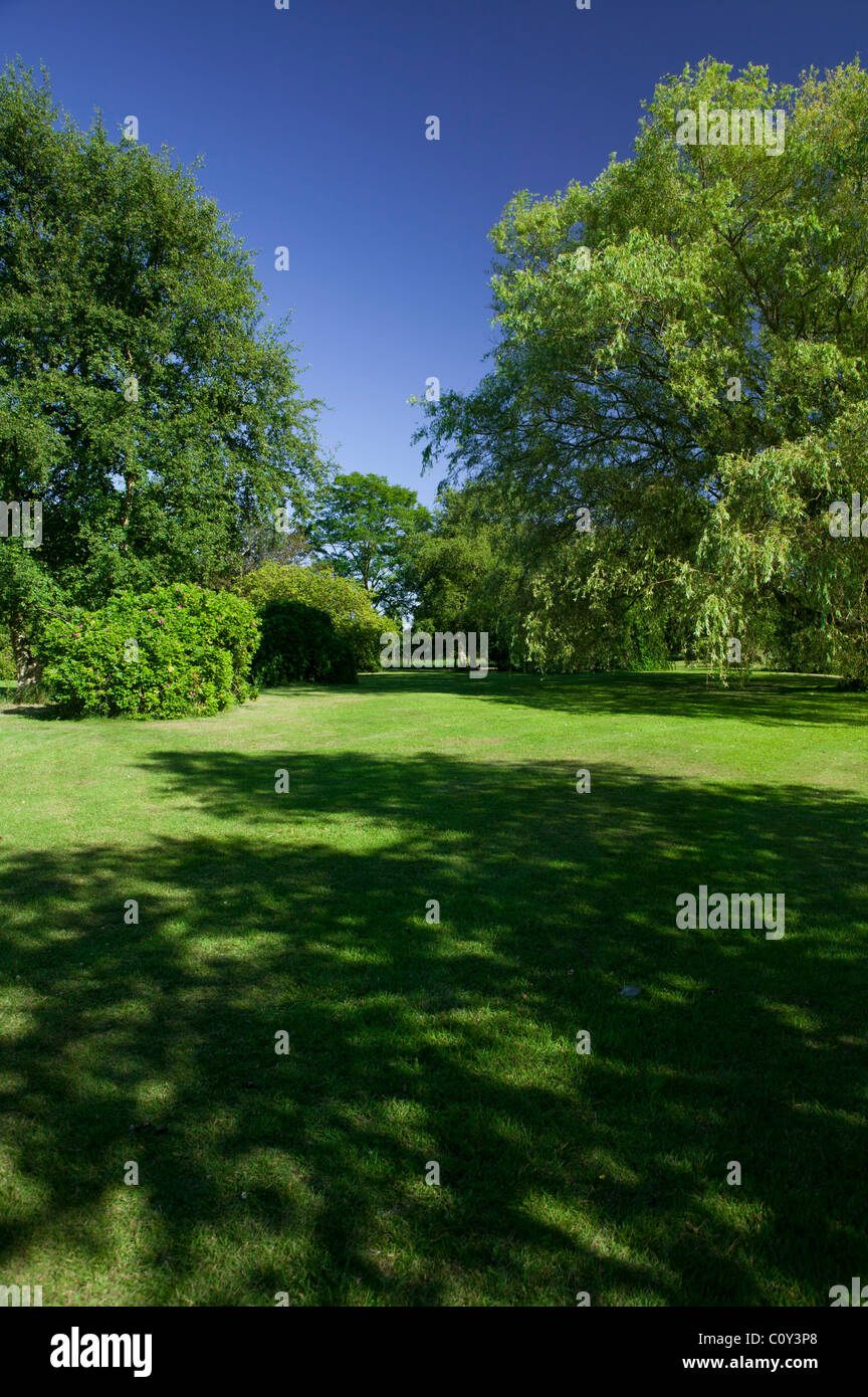 Low angle shot of green lawn on a summers day with blue sky Stock Photo ...