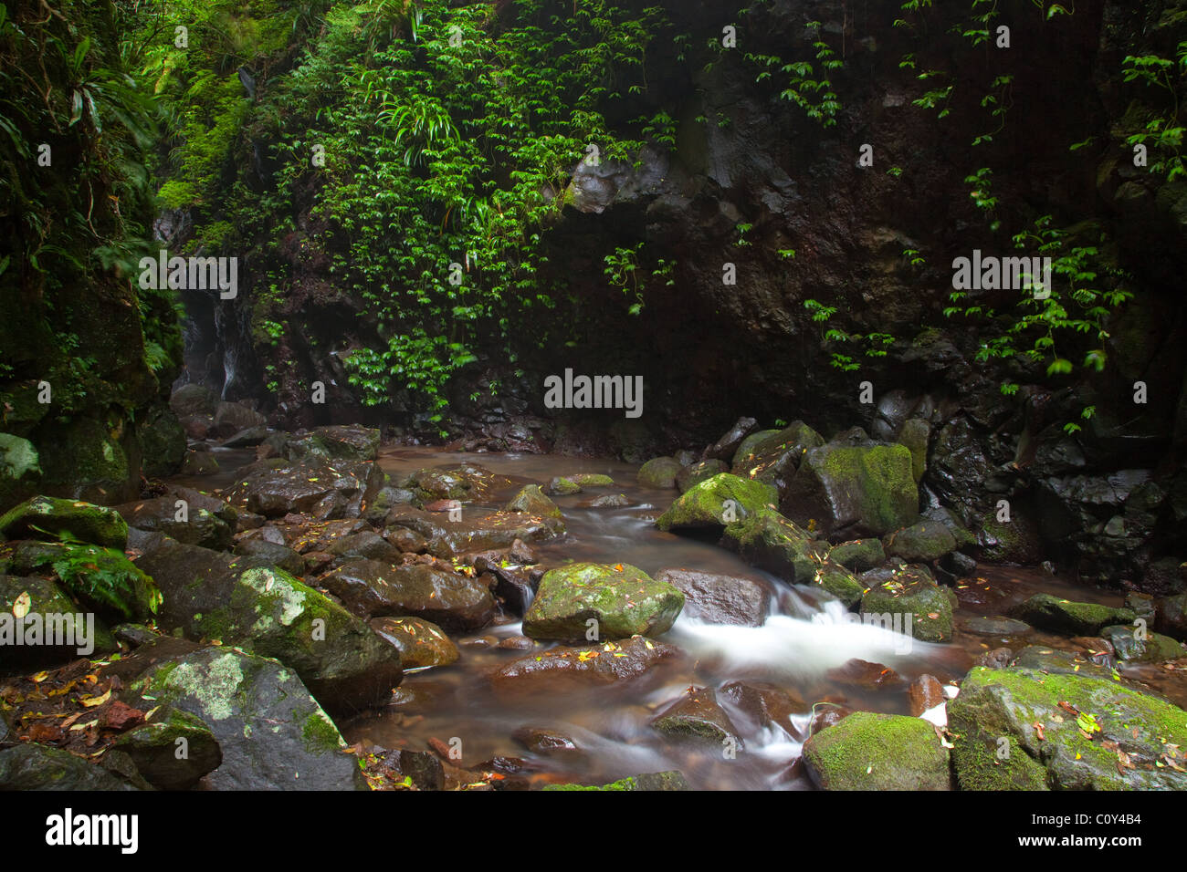 Canungra Creek, Green Mountains section, Lamington National Park ...