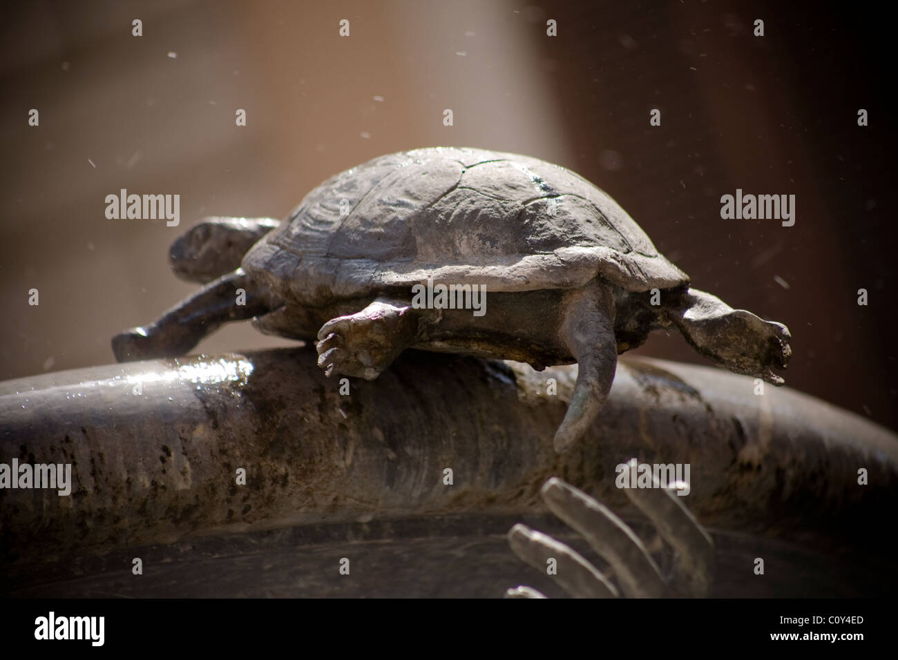 Bronze tortoise on lip bowl hi-res stock photography and images - Alamy