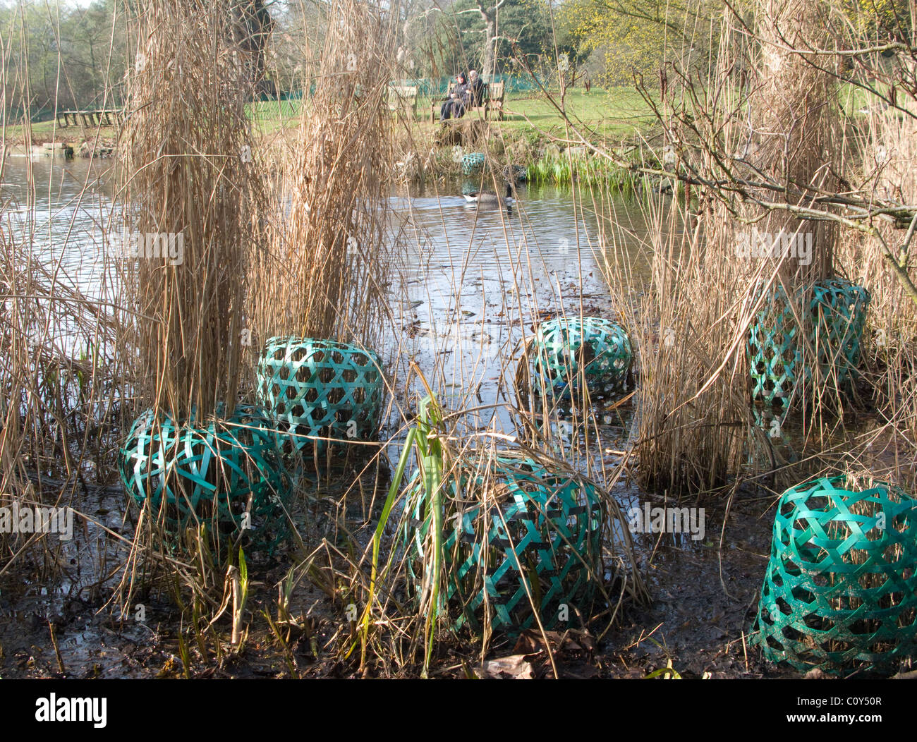 Reed gardens hi-res stock photography and images - Alamy