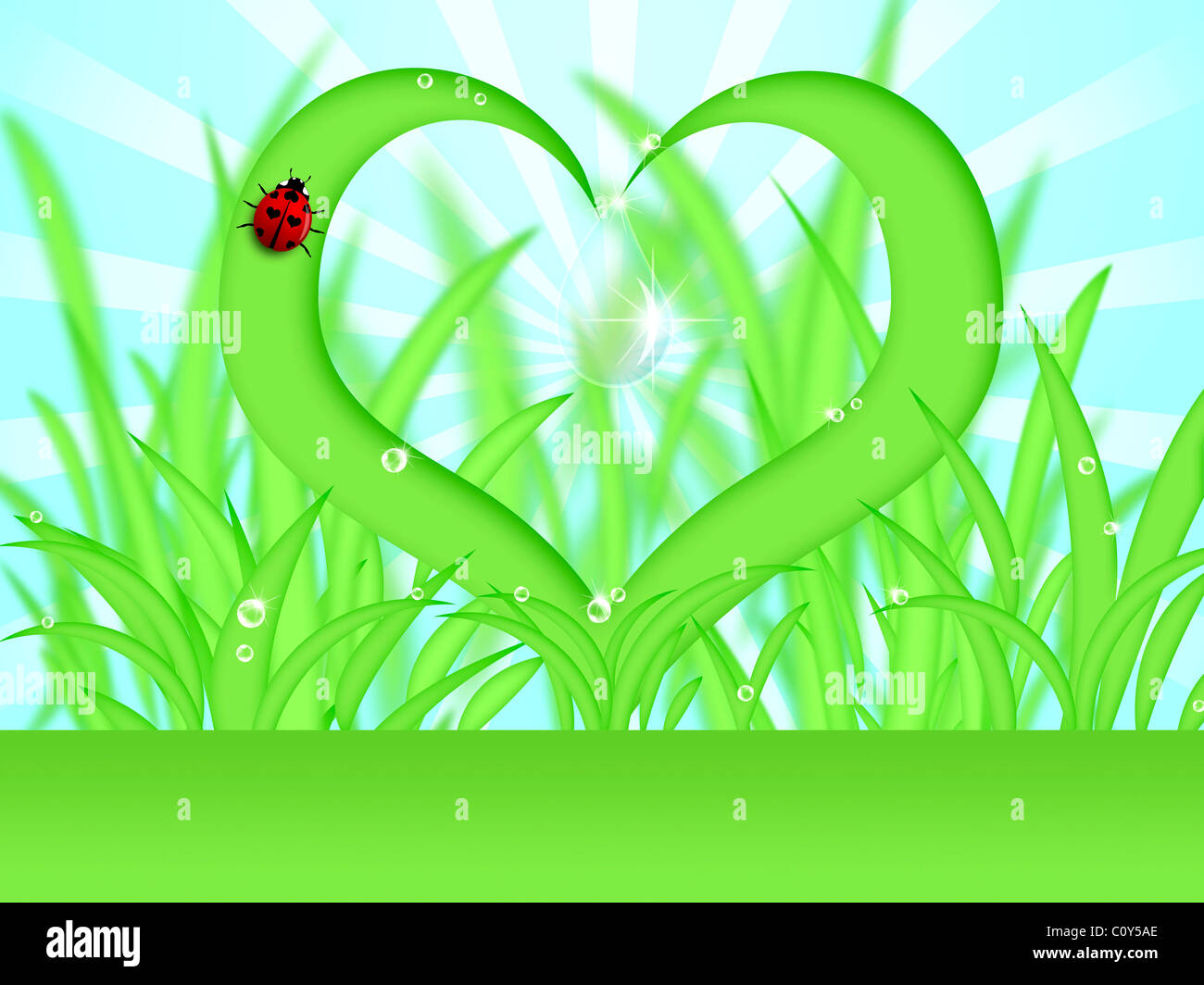 Heart Shape Grass with Water Dew Drops Illustration Stock Photo - Alamy