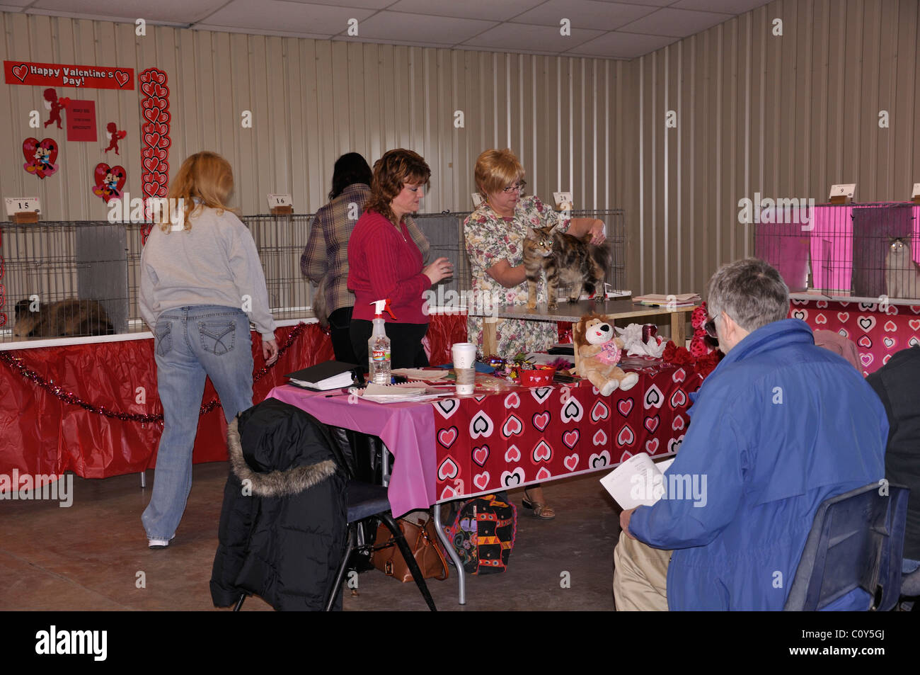 Judging process at cat show, Waco, Texas, USA Stock Photo - Alamy