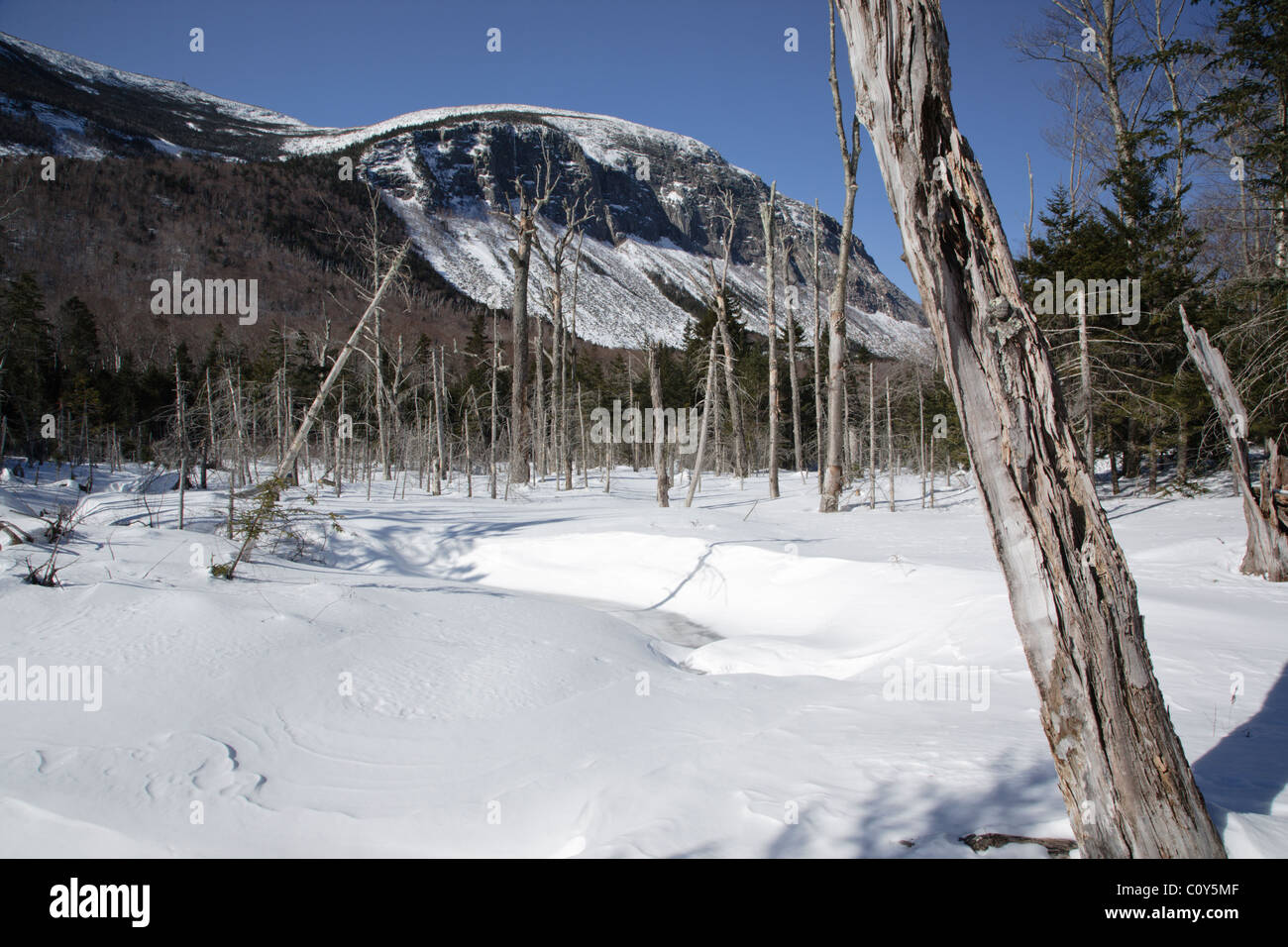 Franconia Notch State Park - Cannon Cliff which is on the side of ...