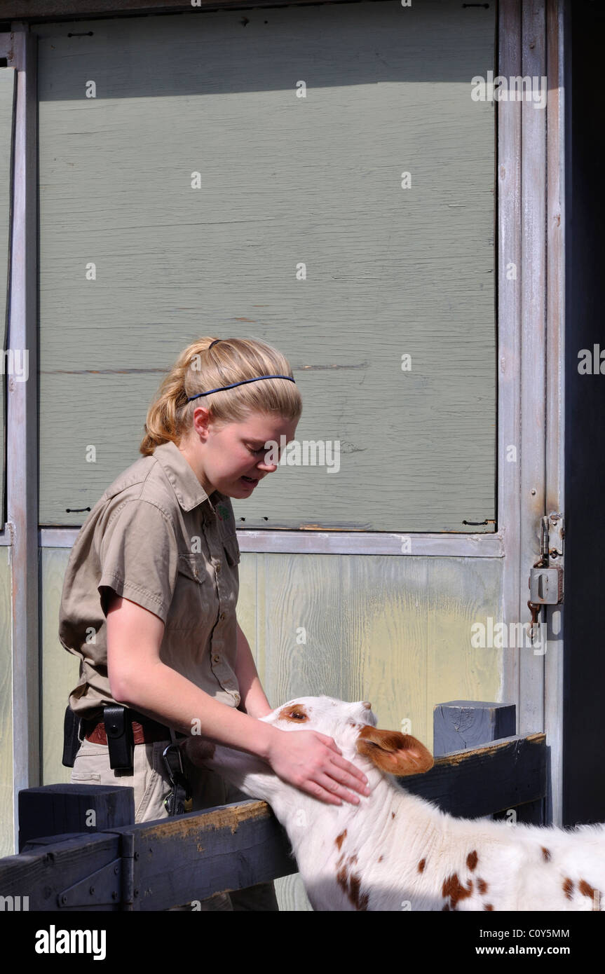 Texas zoo worker hi-res stock photography and images - Alamy