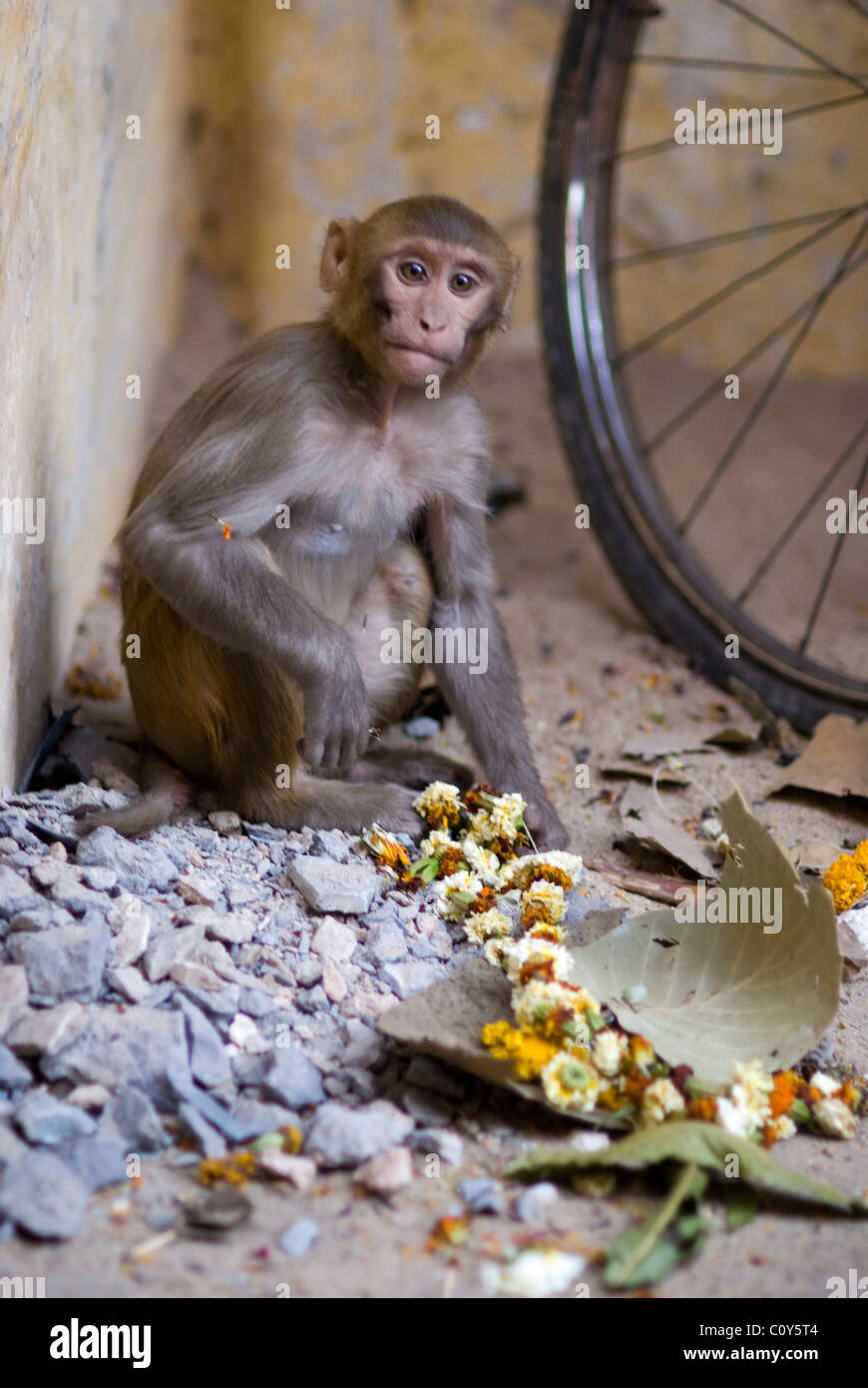 In the naughty corner hi-res stock photography and images - Alamy