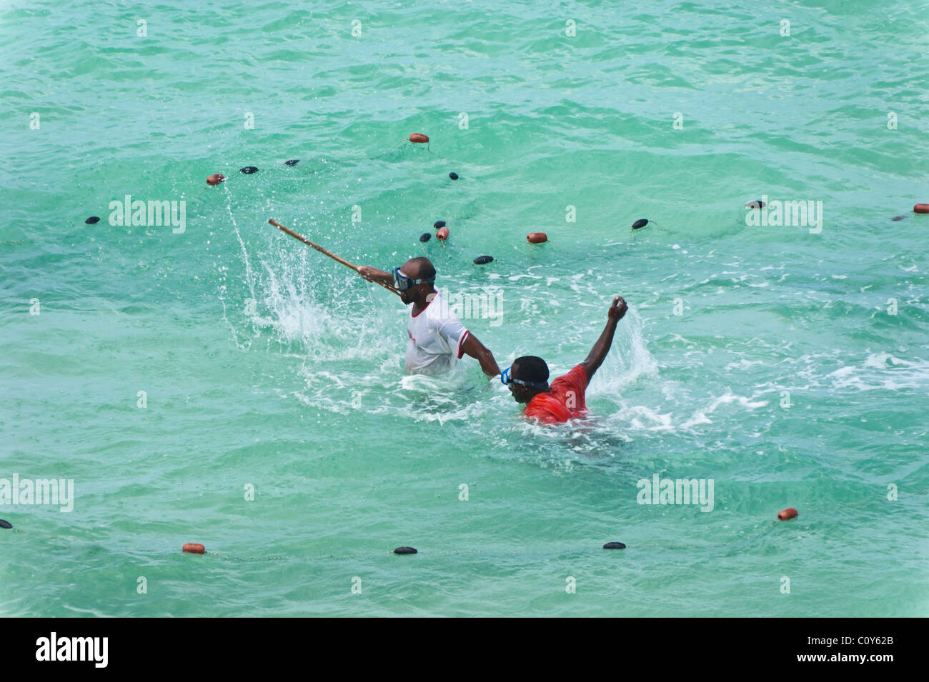 Beating nets hi-res stock photography and images - Alamy