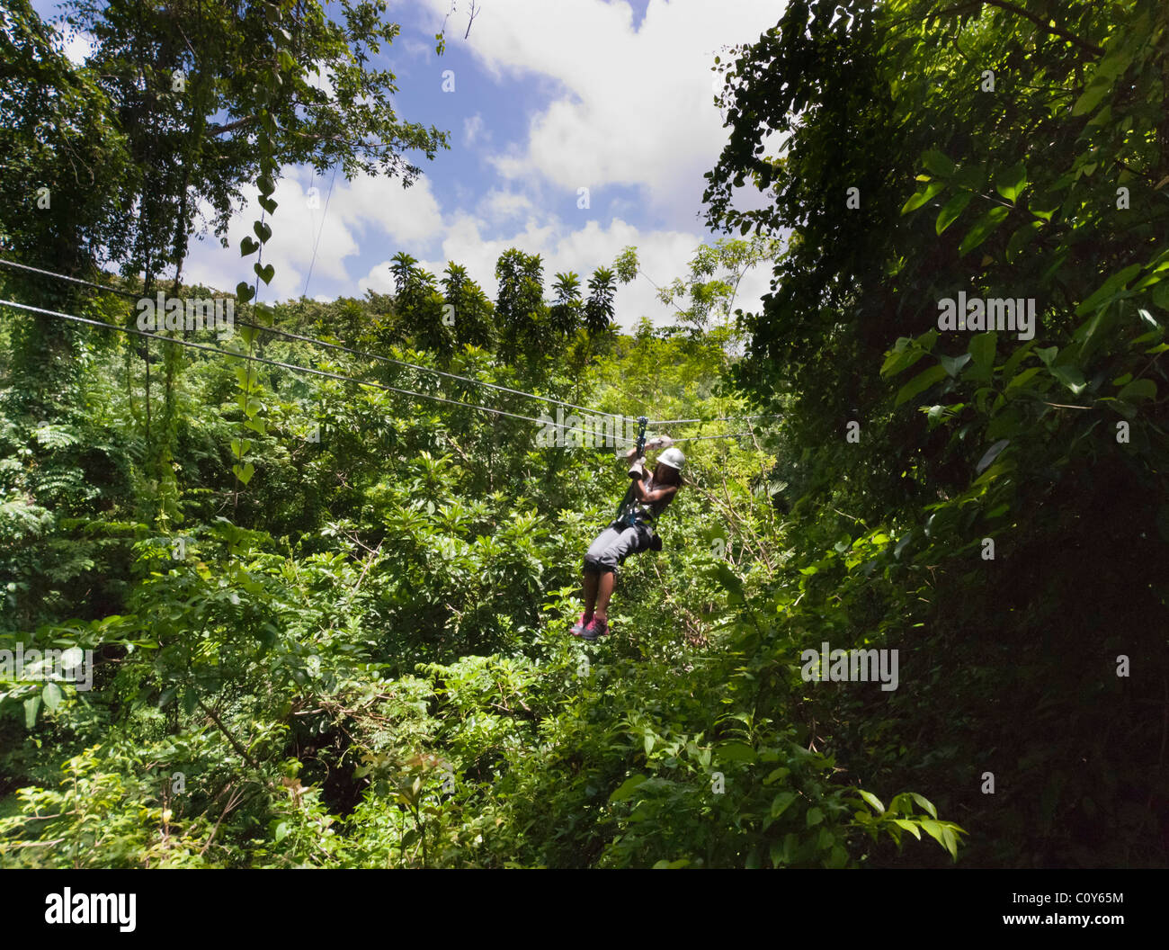 Aerial zipwire forest canopy experience at Jack-in-the-Box Gully ...